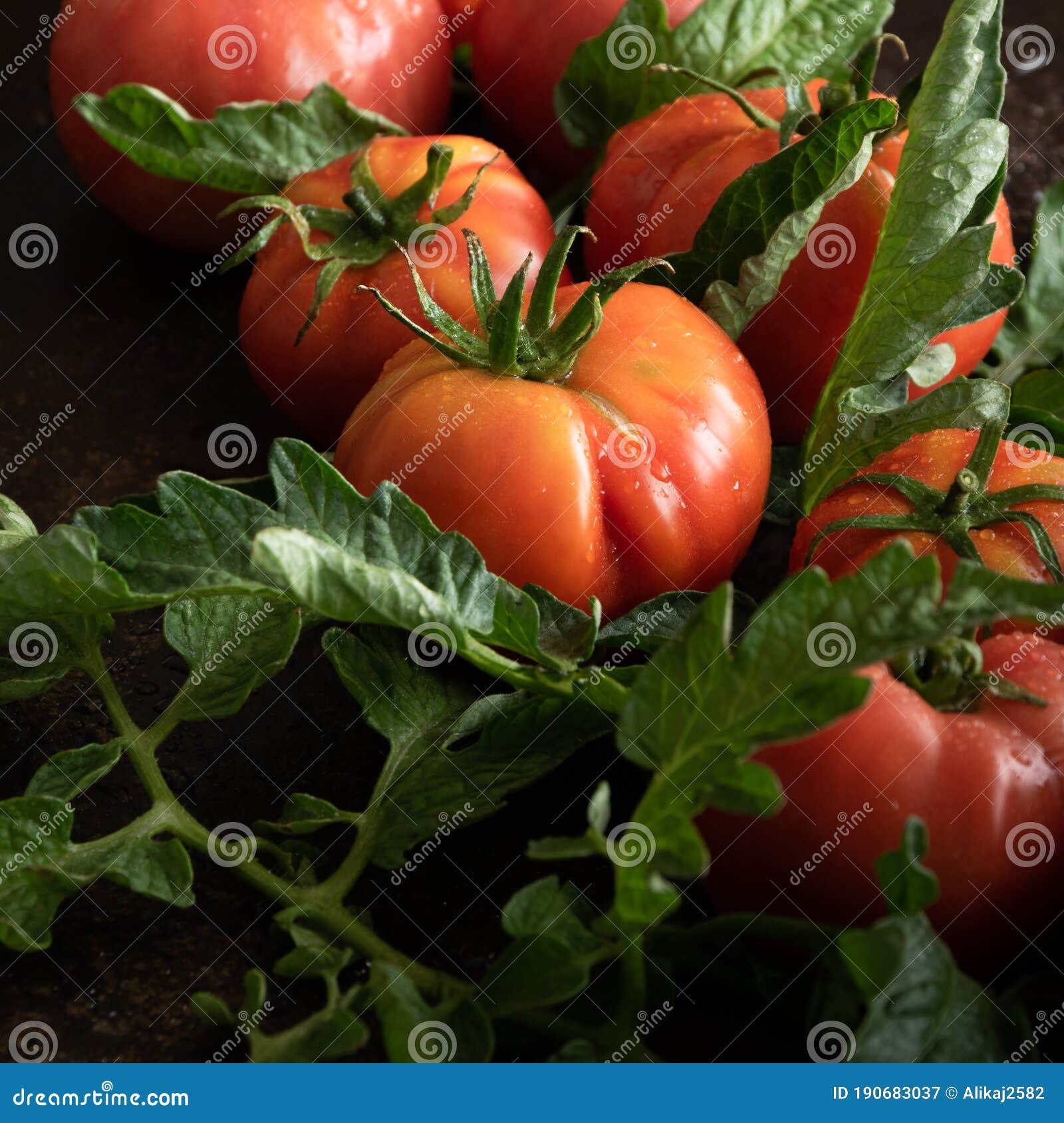 Raw Garden Tomatoes, Healthy Ingredients for Healthy Eating Stock Image ...