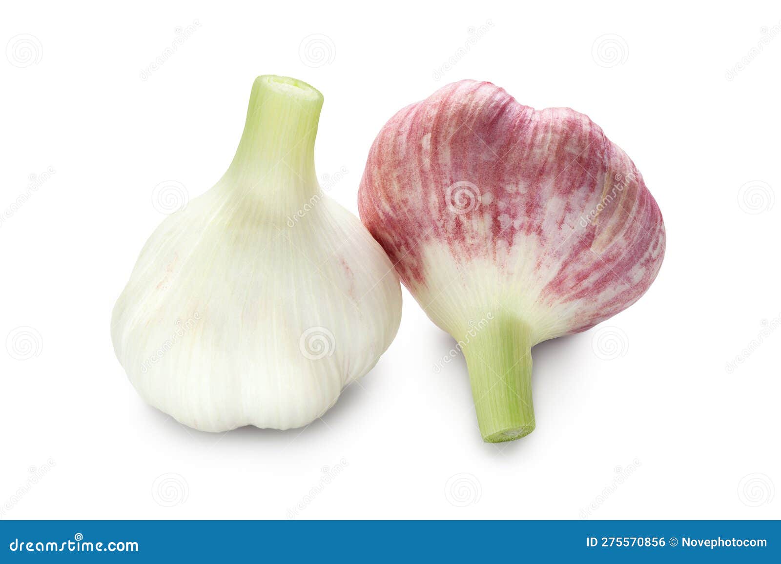 Raw Garlic. Heads of Raw Fresh Garlic Isolated on White Stock Photo ...