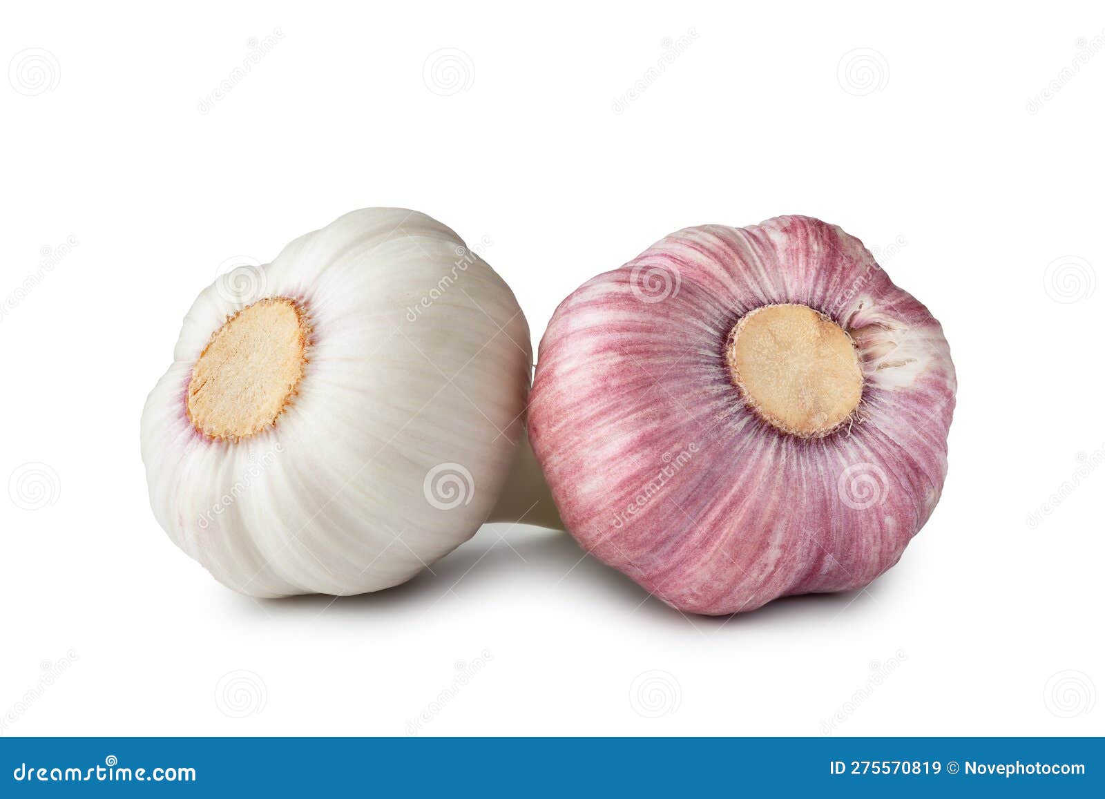 Raw Garlic. Two Heads of Garlic Isolated on White Stock Image - Image ...
