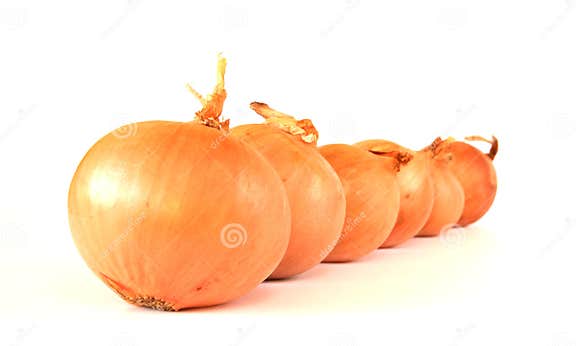 Raw of golden onions stock photo. Image of vegetable, yellow - 4221100