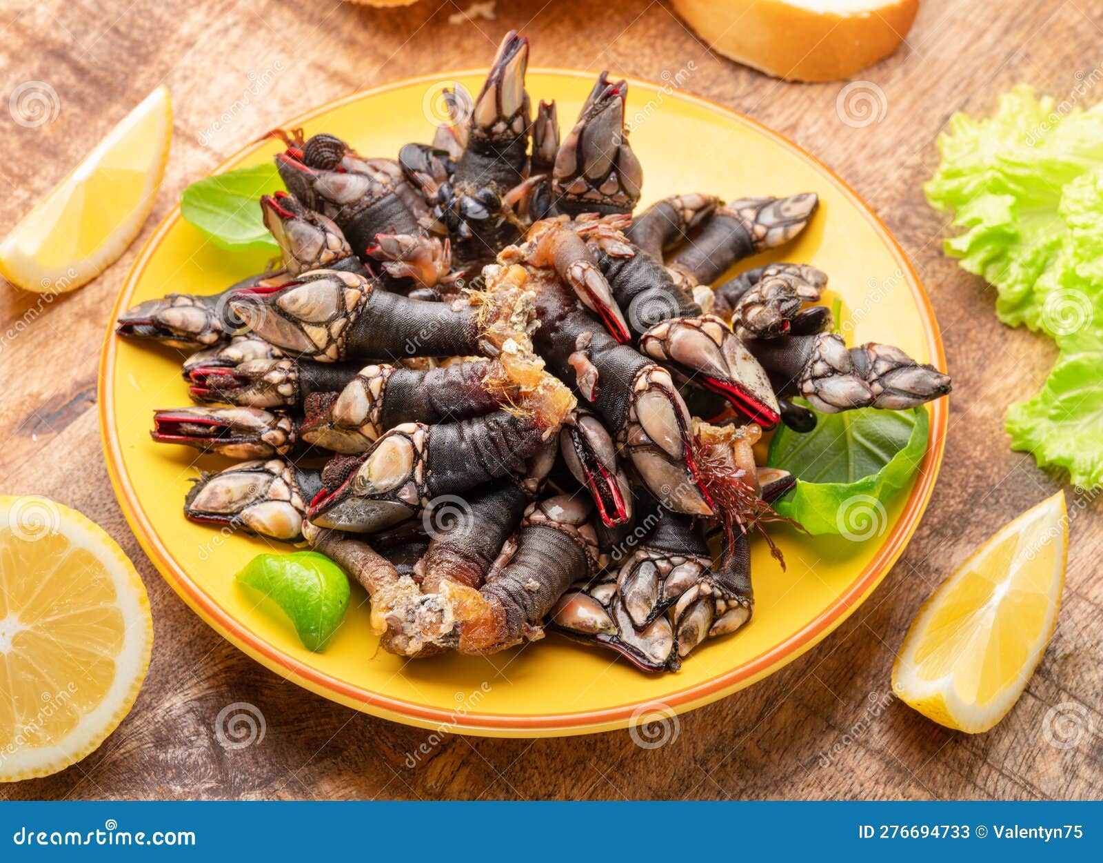 Raw Goose Barnacles Close Up on Yellow Plate on Wooden Table Stock ...