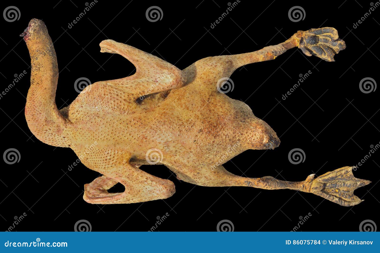 Raw goose 4 stock photo. Image of fresh, isolated, domestic - 86075784