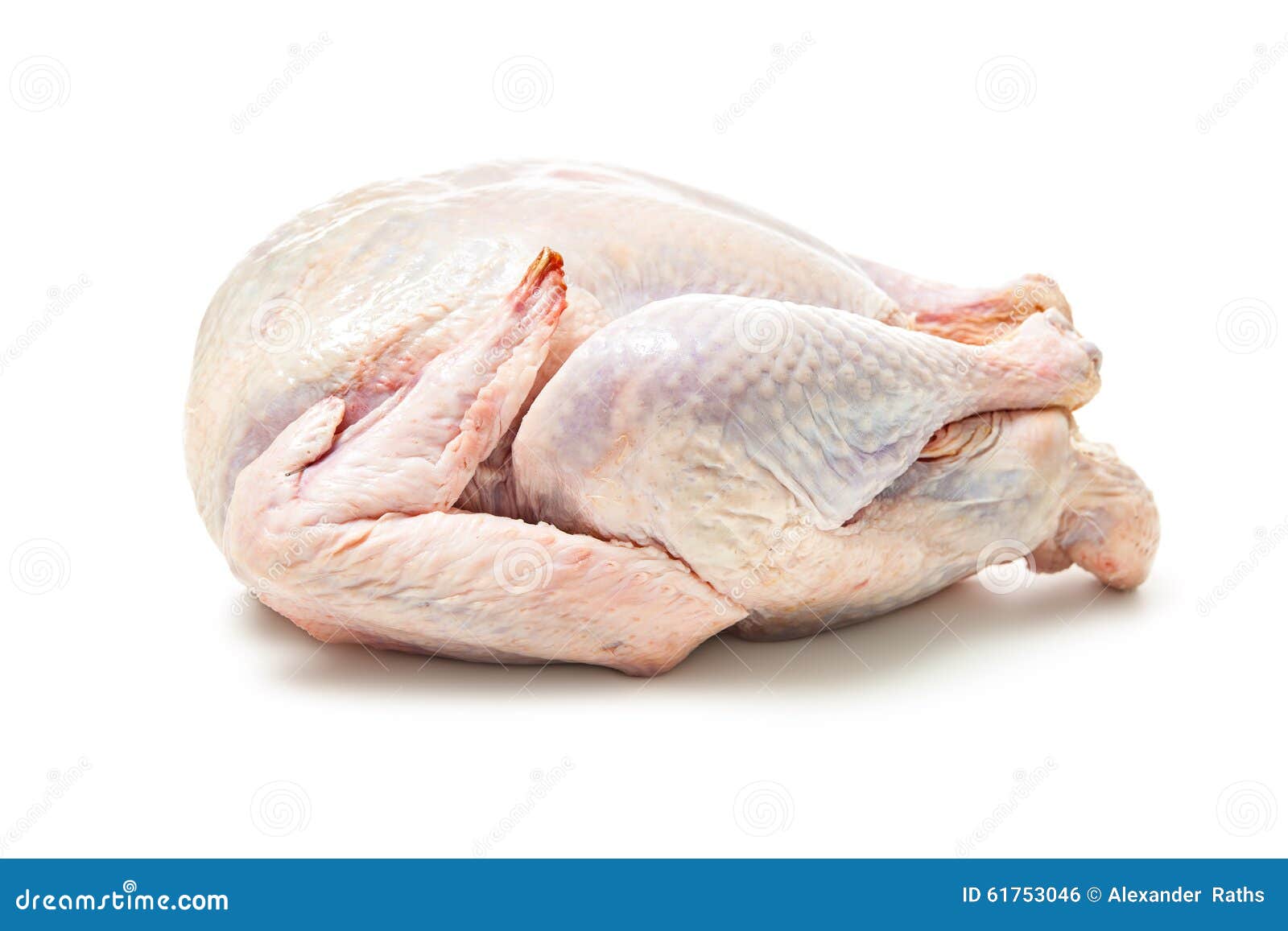 Raw goose stock photo. Image of fresh, december, plucked - 61753046