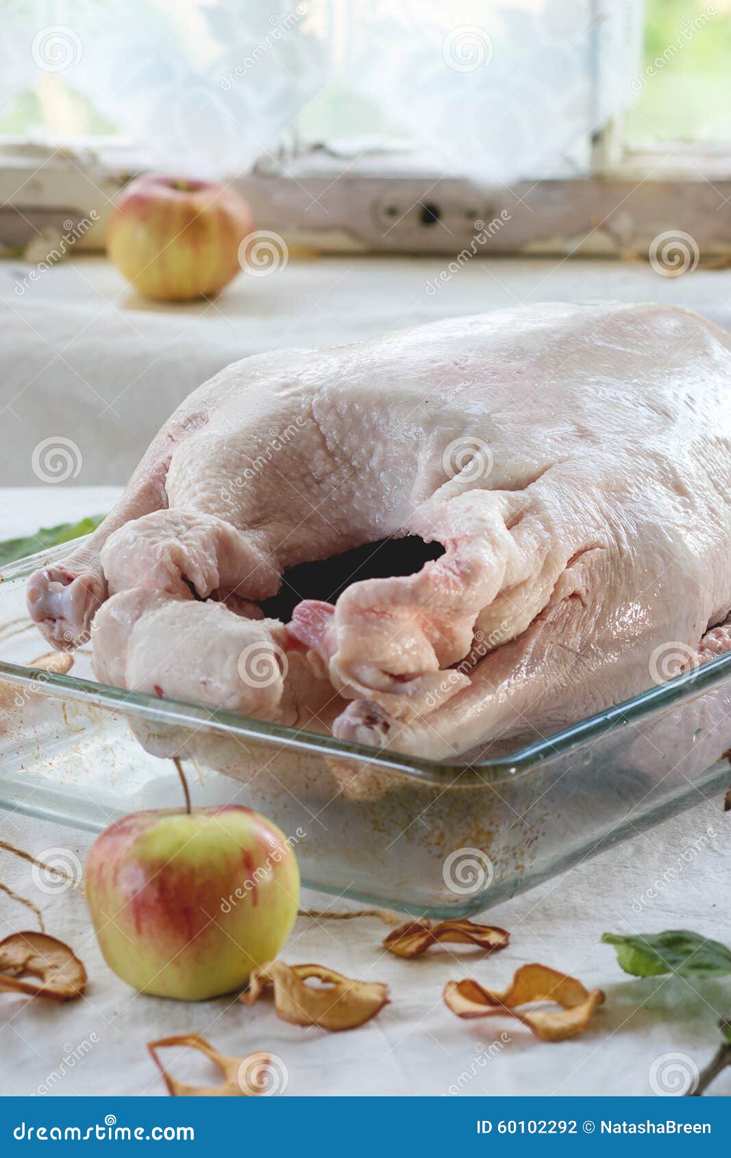 Raw goose stock photo. Image of prepare, kitchen, window - 60102292