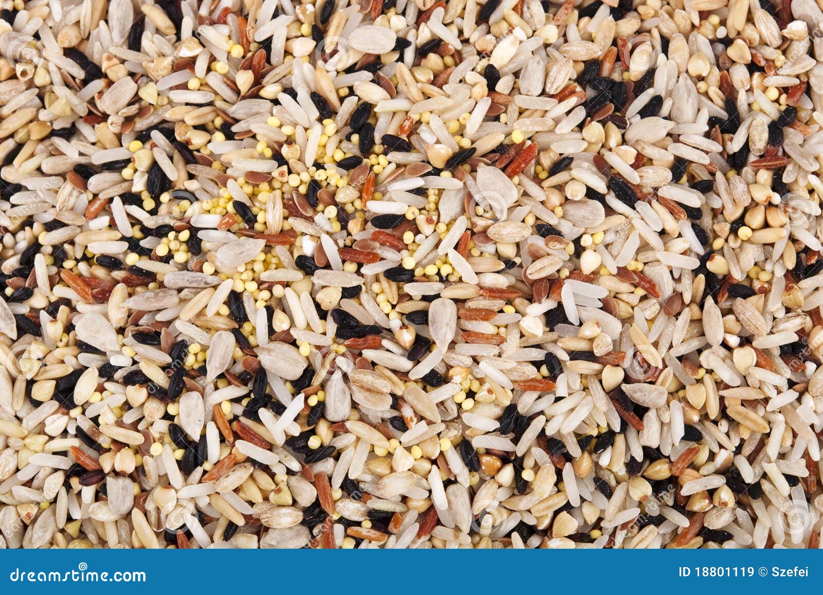 Raw grains stock image. Image of mixture, harvest, nature - 18801119