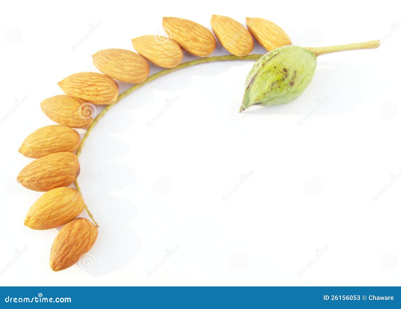 Raw green almond stock image. Image of fresh, nature - 26156053