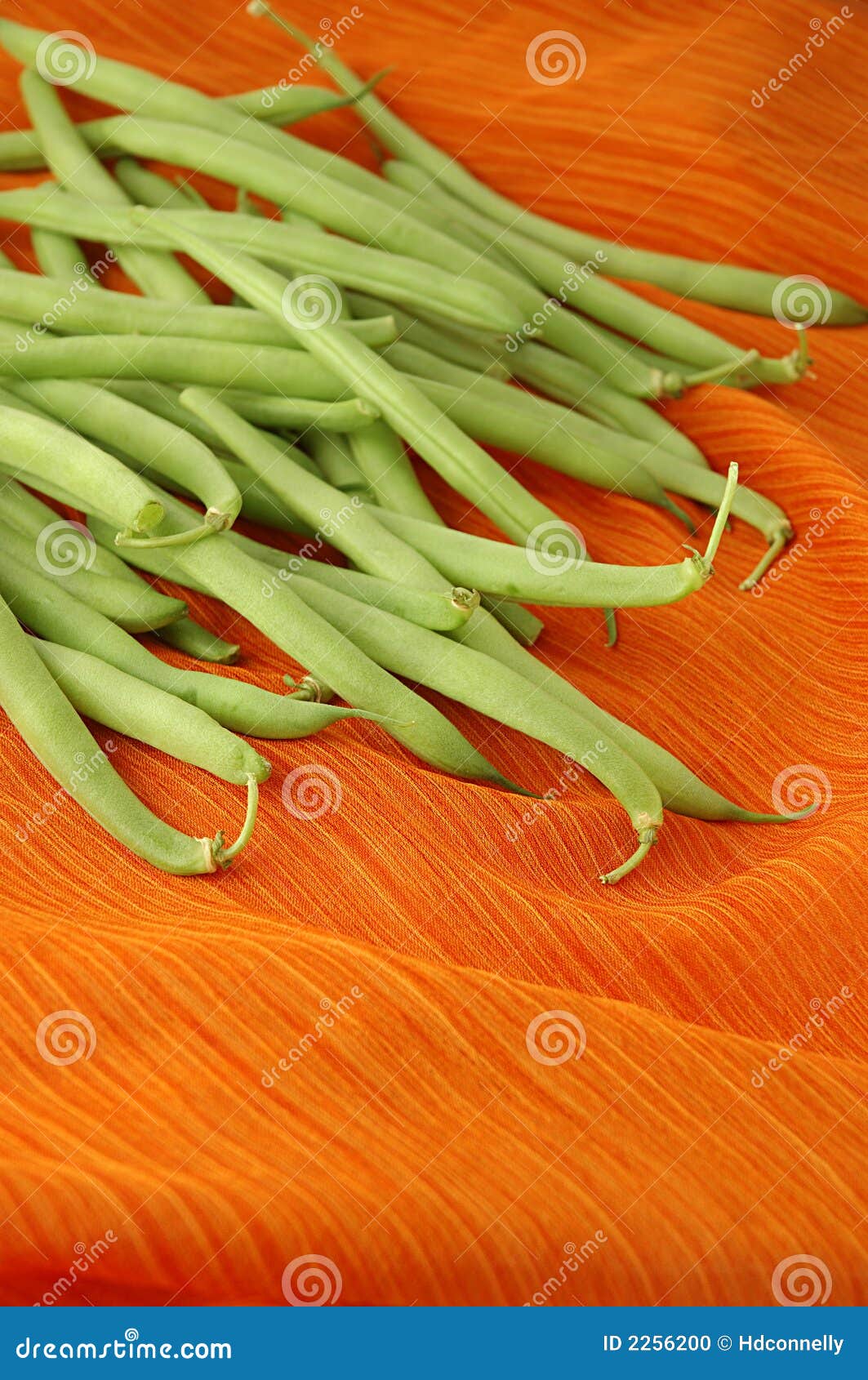 Raw Green Beans on Orange stock photo. Image of runner - 2256200