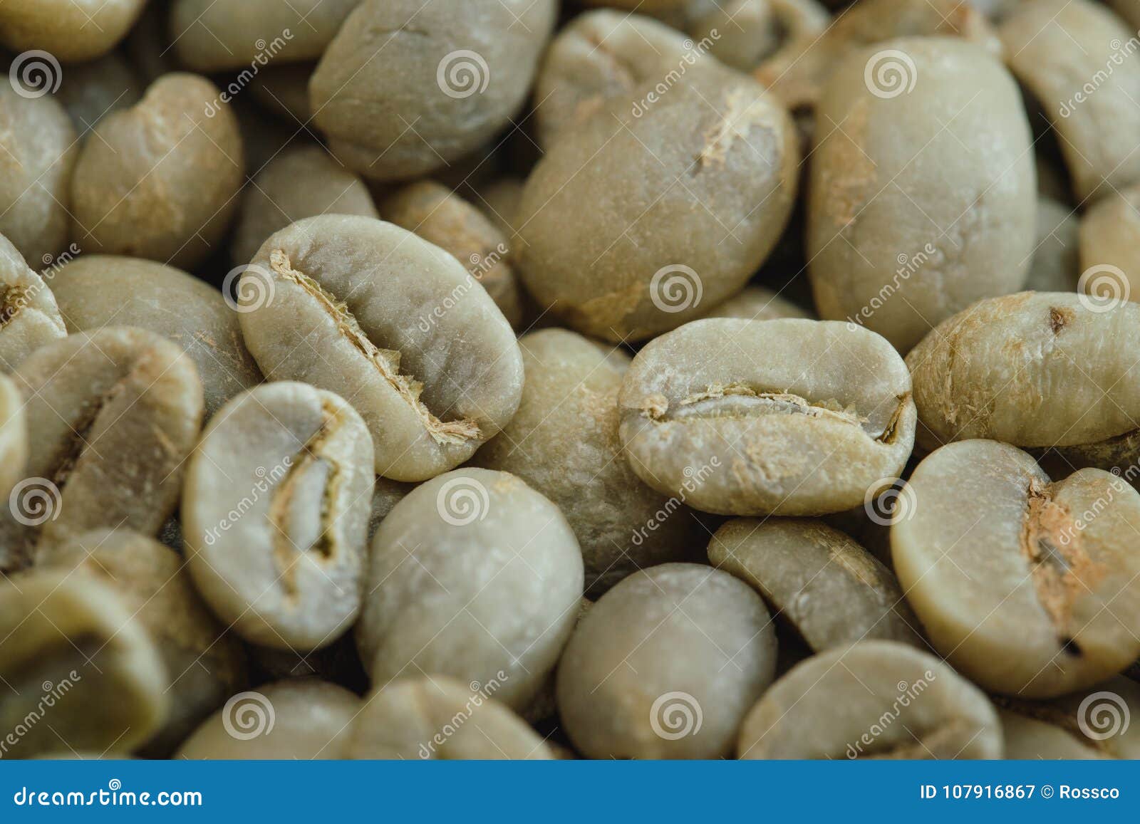 Raw Green Coffee Bean stock image. Image of fresh, beans - 107916867
