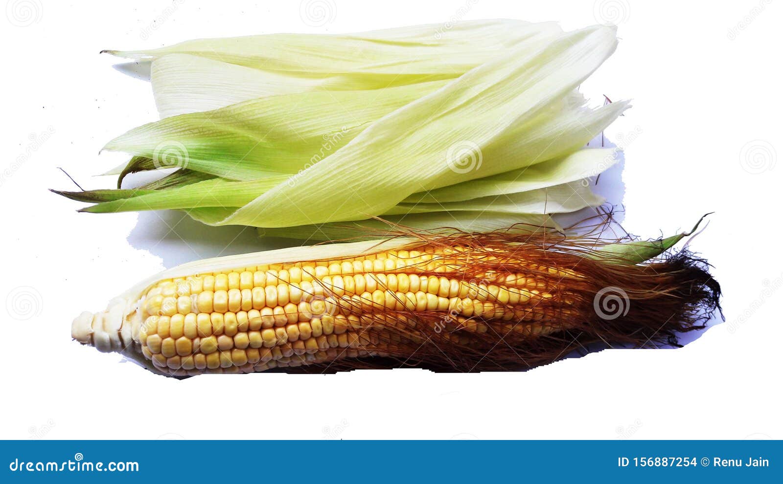 Raw Green Corn Half Pealed Isolated on White Background with Its ...