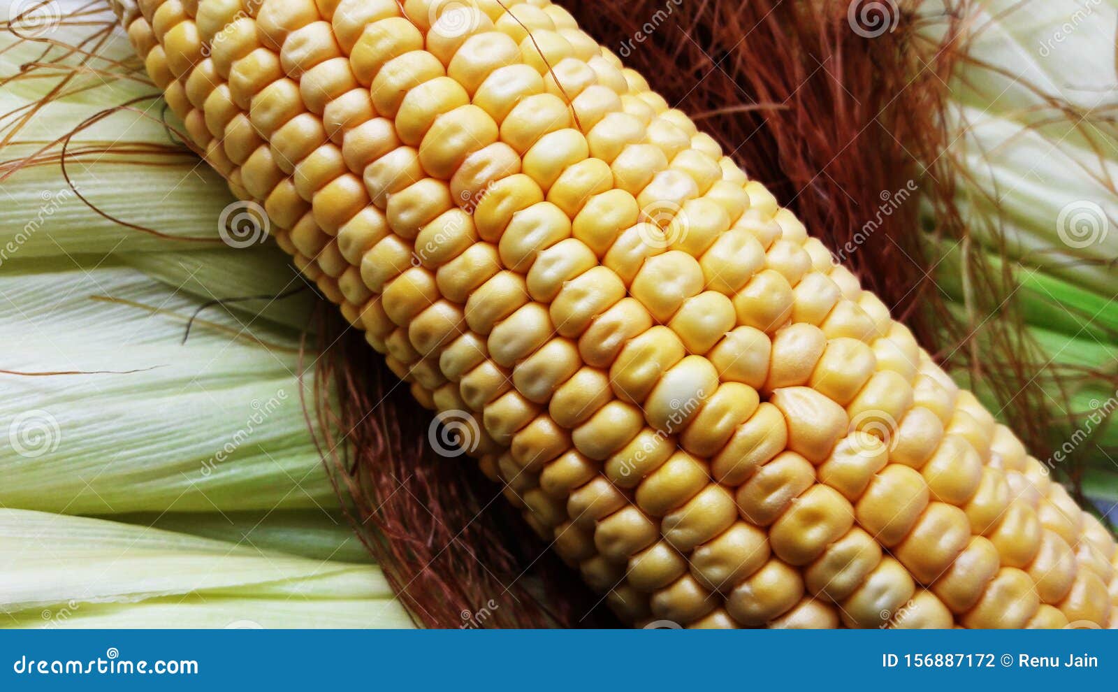 Raw Green Corn Pealed Closeup Image Stock Photo - Image of color ...