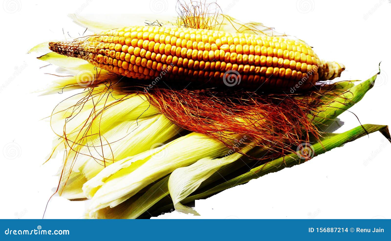 Raw Green Corn Pealed with Its Threads Closeup Stock Photo - Image of ...