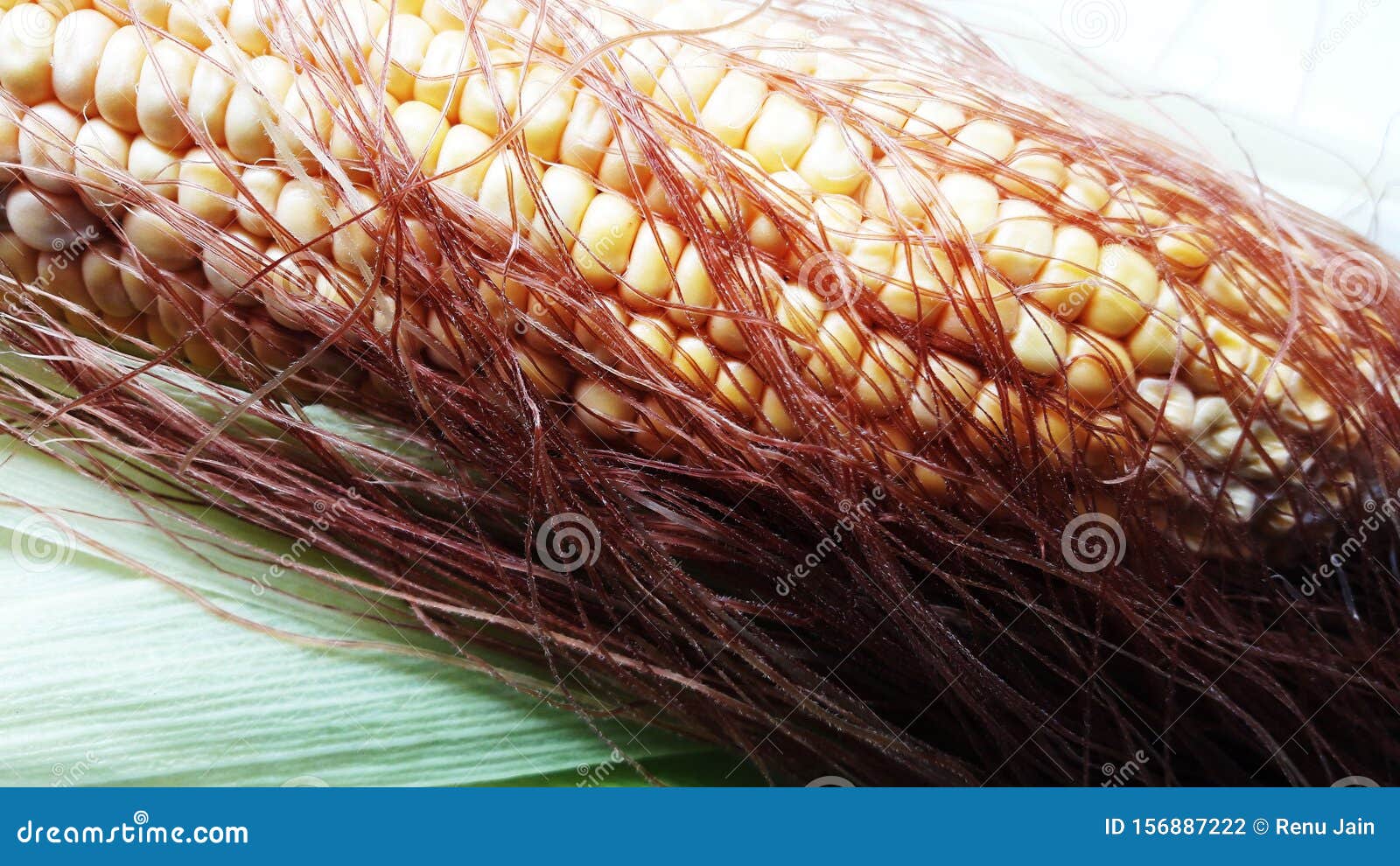 Raw Green Corn Pealed with Its Threads Closeup Stock Photo - Image of ...