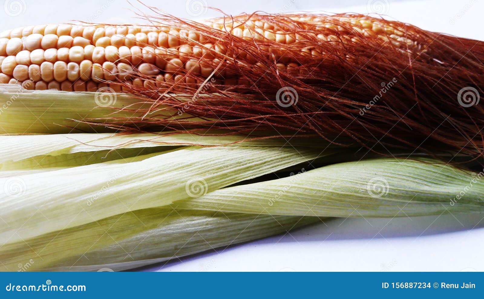 Raw Green Corn Pealed with Its Threads Closeup Stock Photo - Image of ...