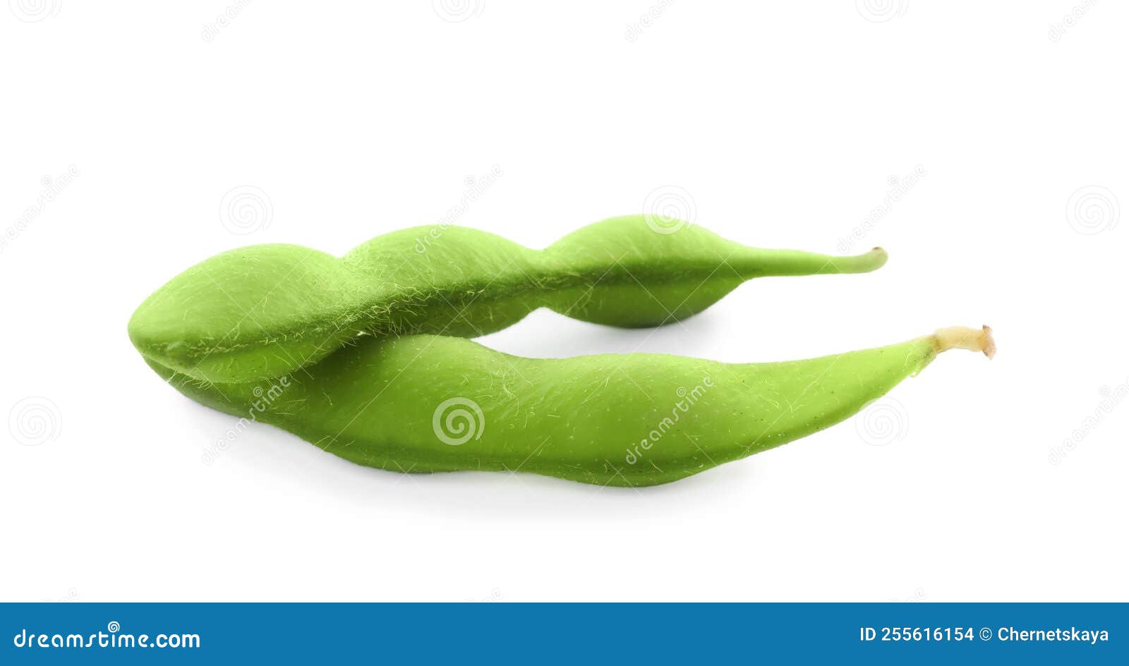 Raw Green Edamame Pods on White Background Stock Photo - Image of ...