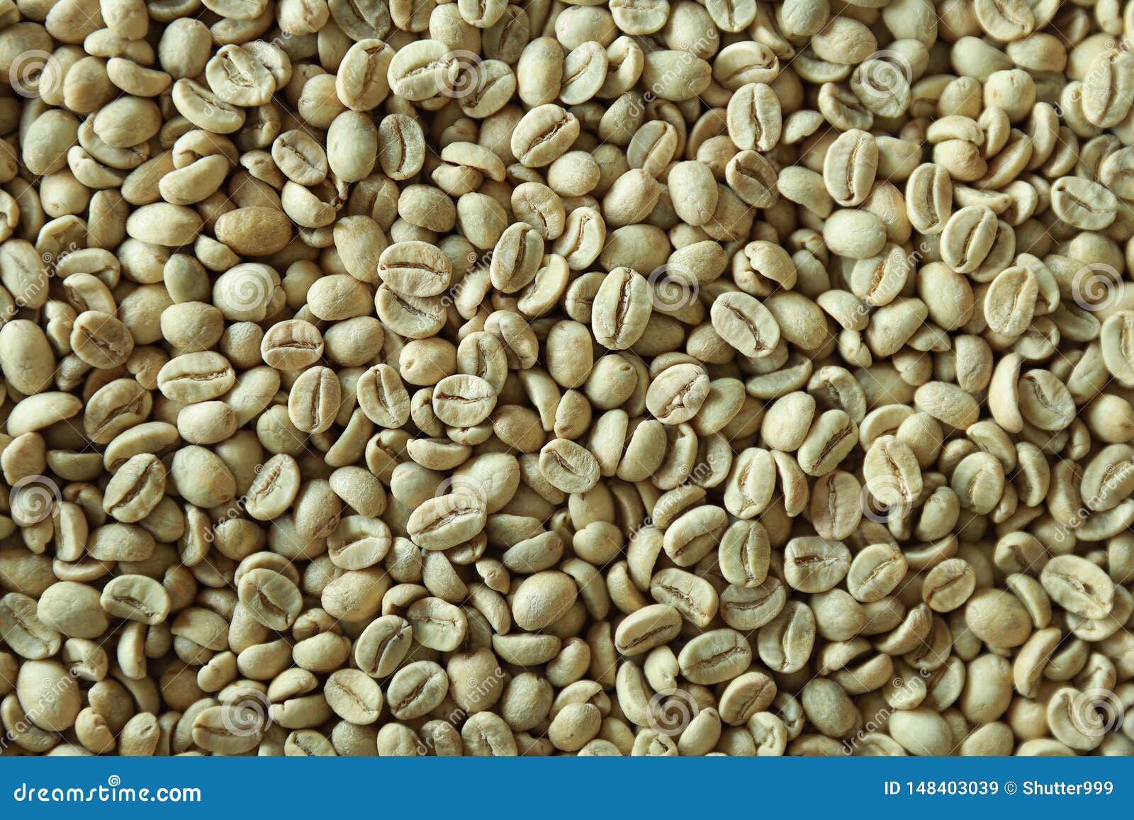 Raw Green Fresh Coffee Bean Stock Image - Image of energy, background ...