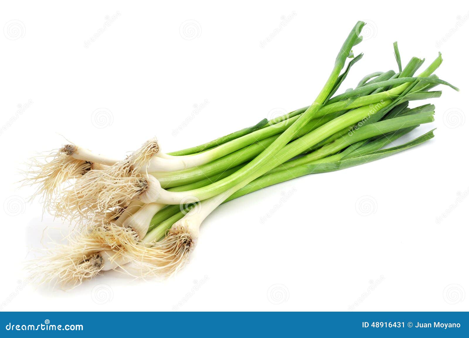 Raw green garlic stock image. Image of cuisine, plant - 48916431