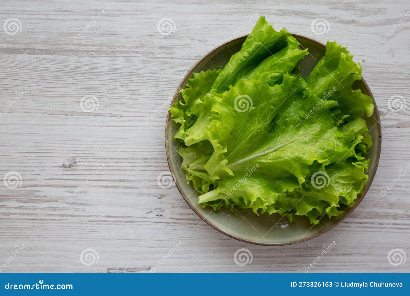 Raw Green Leaf Lettuce on a Plate, Top View. Space for Text Stock Image ...