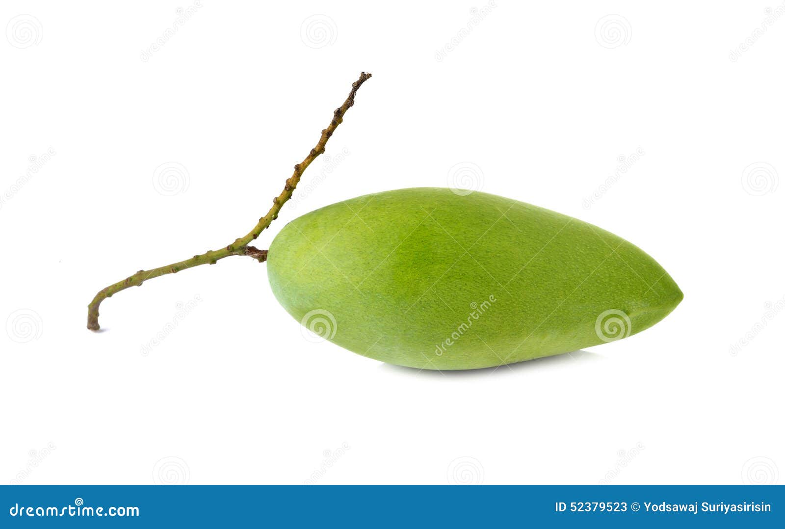 Raw Green Mango with Stem on White Stock Image - Image of isolated ...