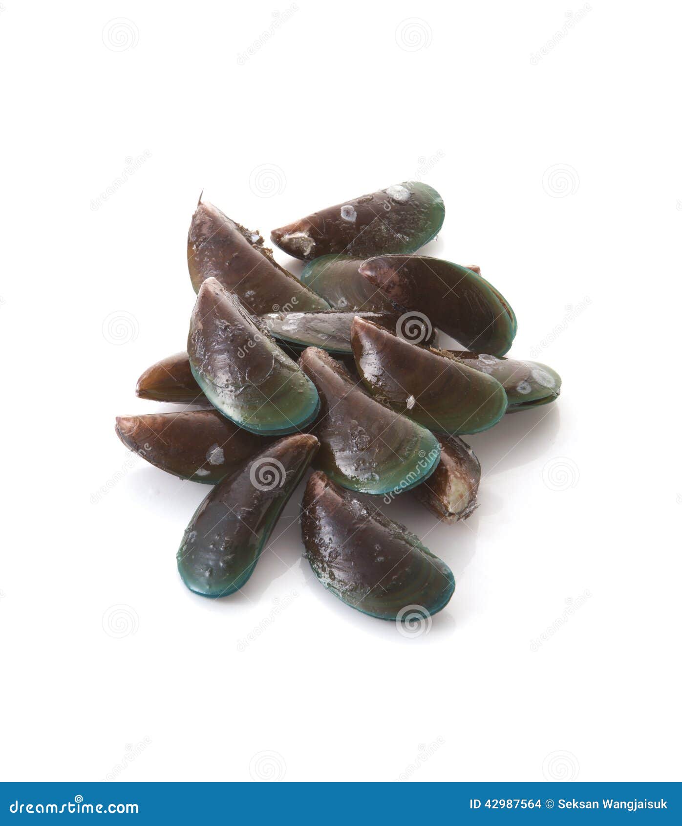 Raw green mussel stock photo. Image of background, animal - 42987564