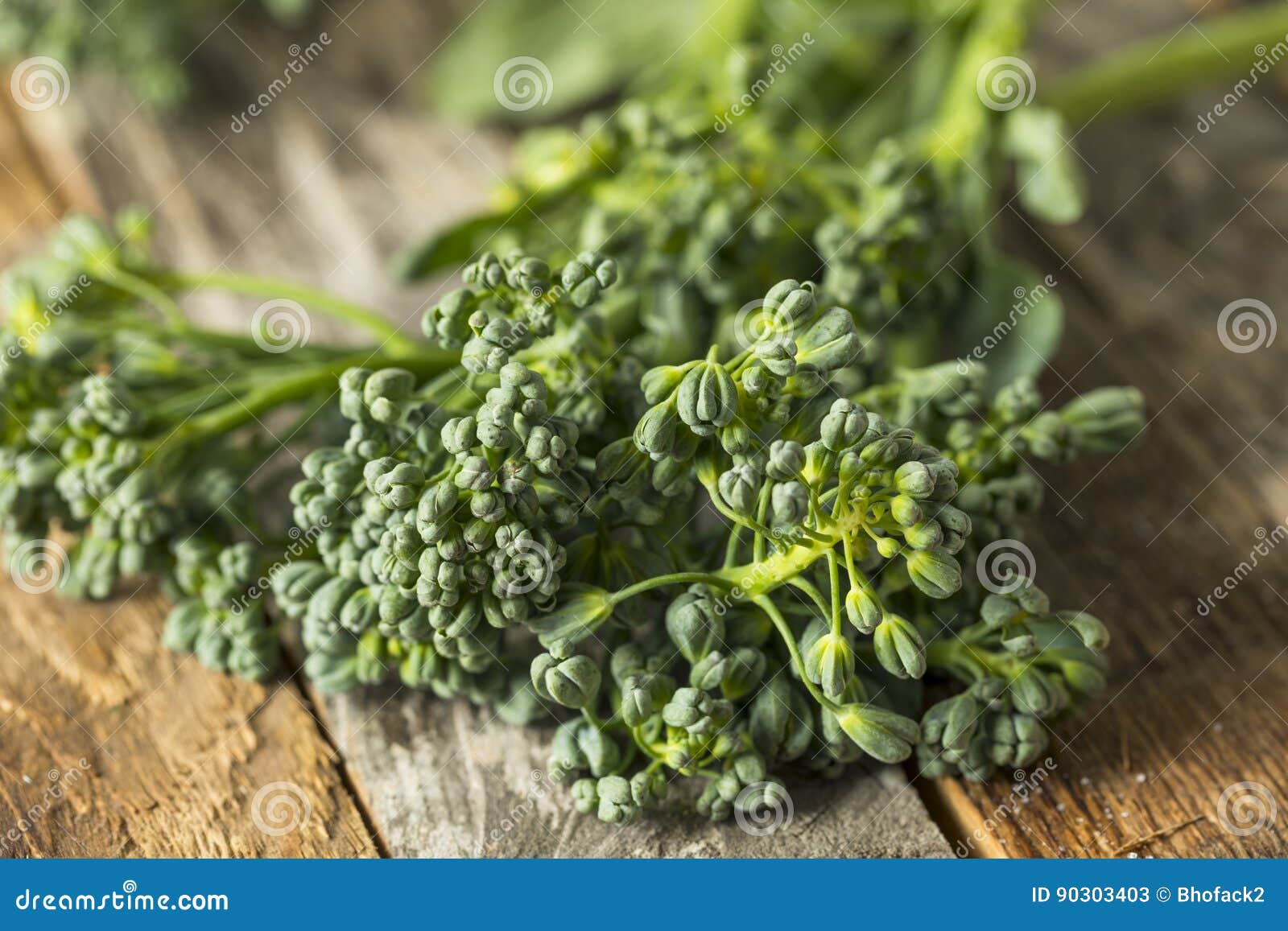 Raw Green Organic Broccolini Stock Image - Image of broccoli, leafy ...