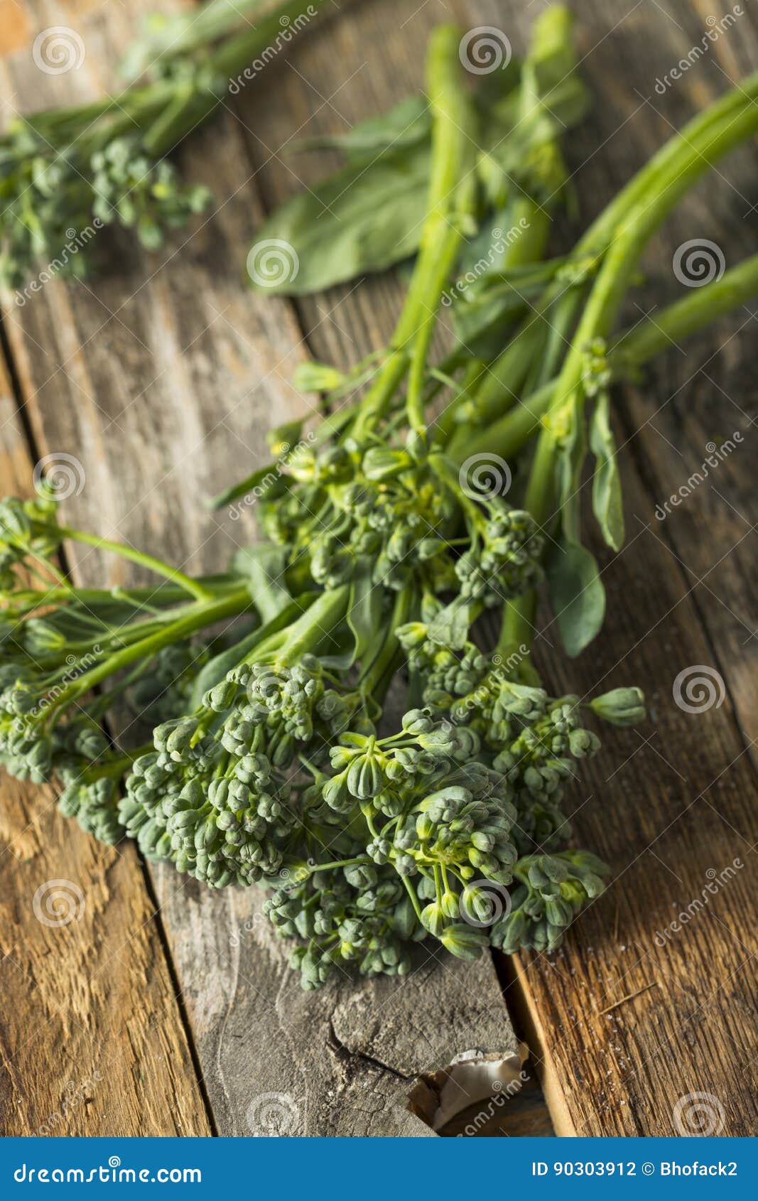 Raw Green Organic Broccolini Stock Photo - Image of leafy, closeup ...