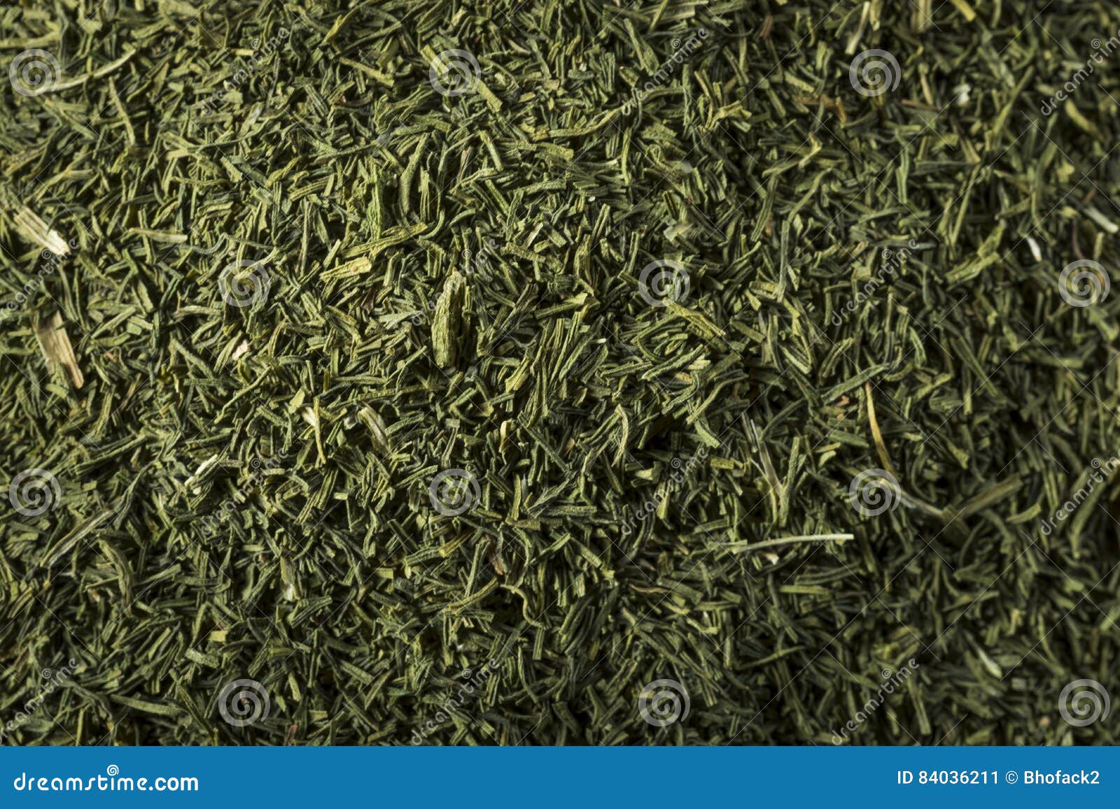 Raw Green Organic Dry Dill Weed Stock Image - Image of aroma, plant: 84036211