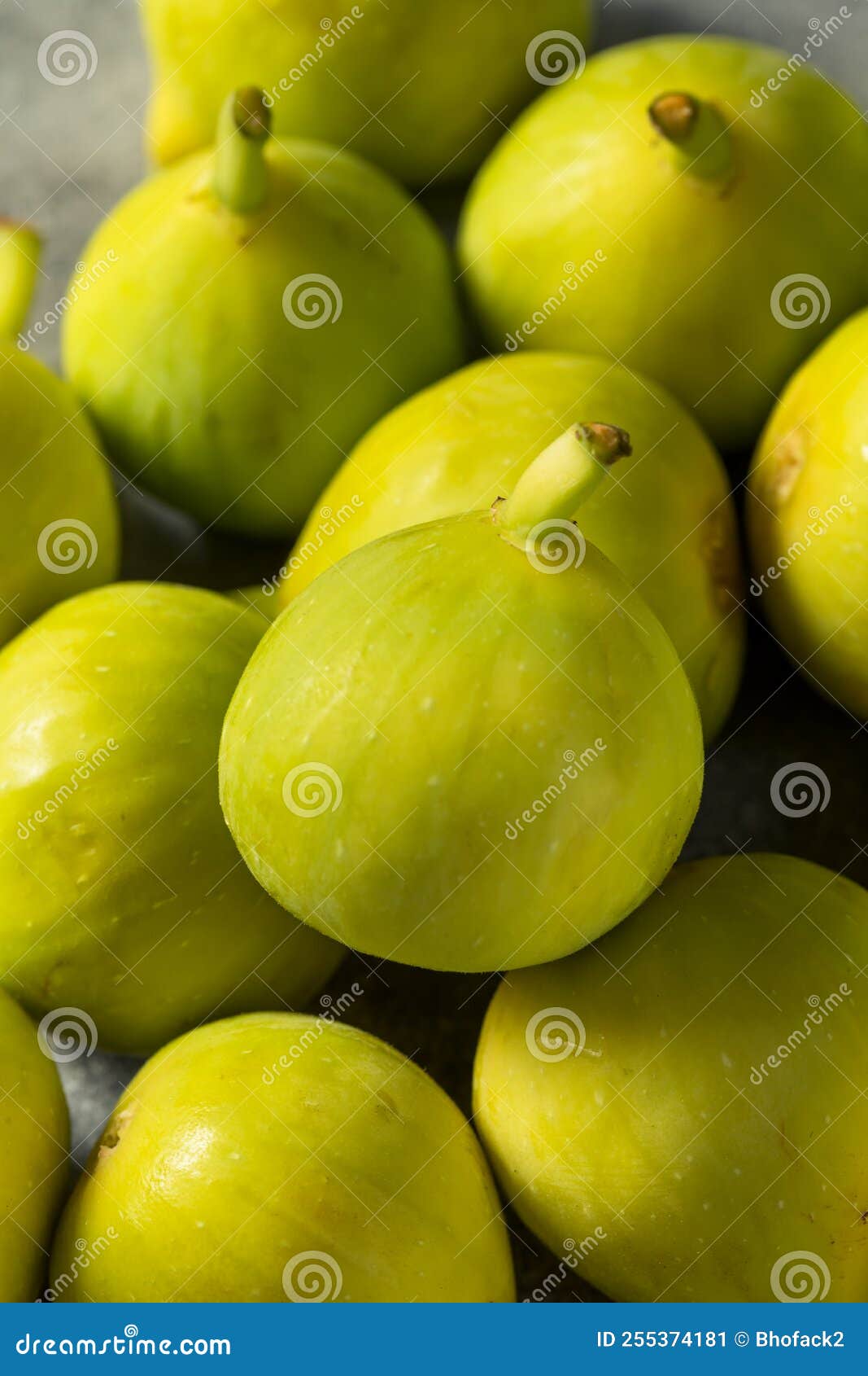 Raw Green Organic Figs stock image. Image of dessert - 255374181