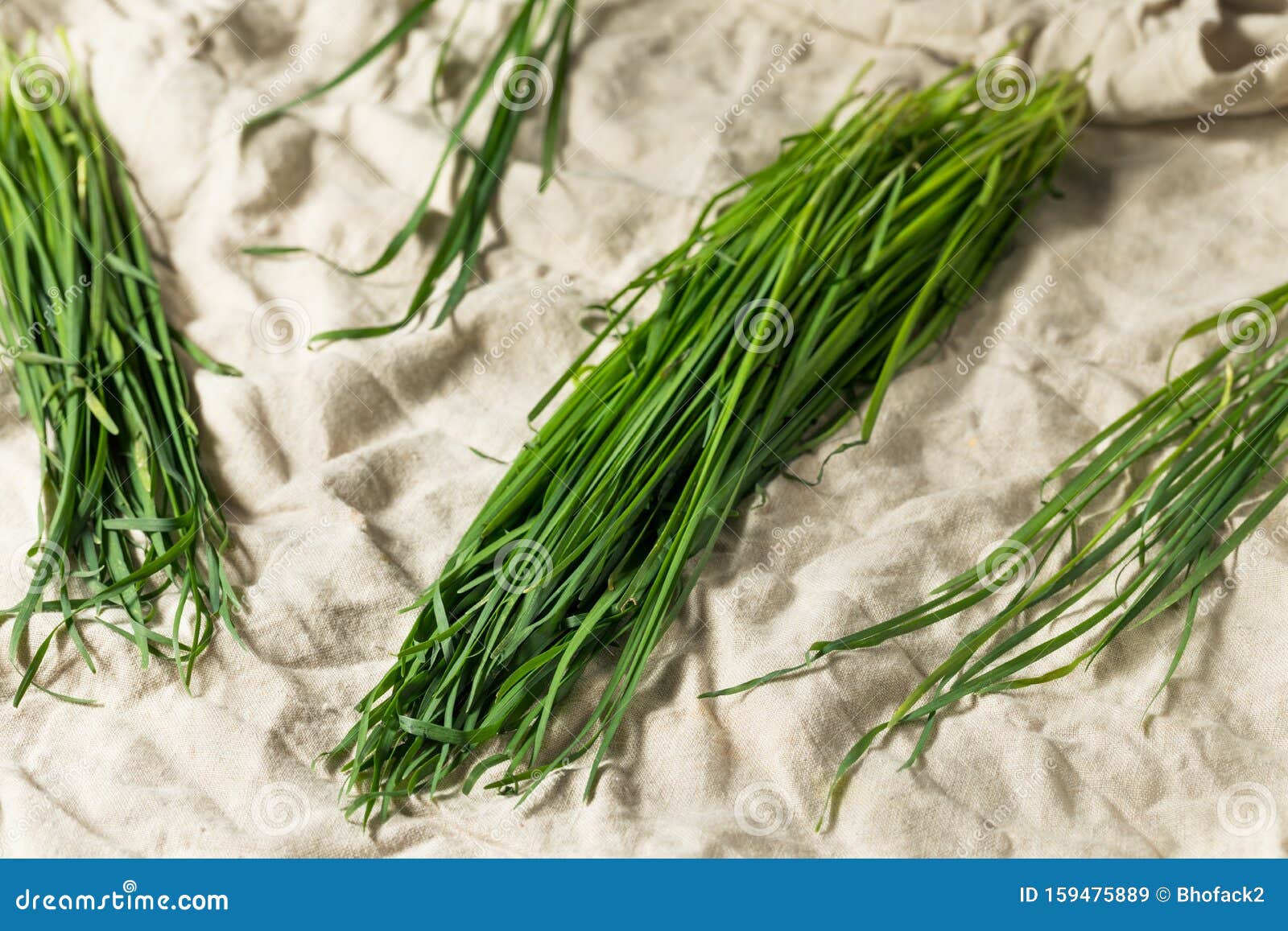 Raw Green Organic Korean Chives Stock Image - Image of season, healthy ...