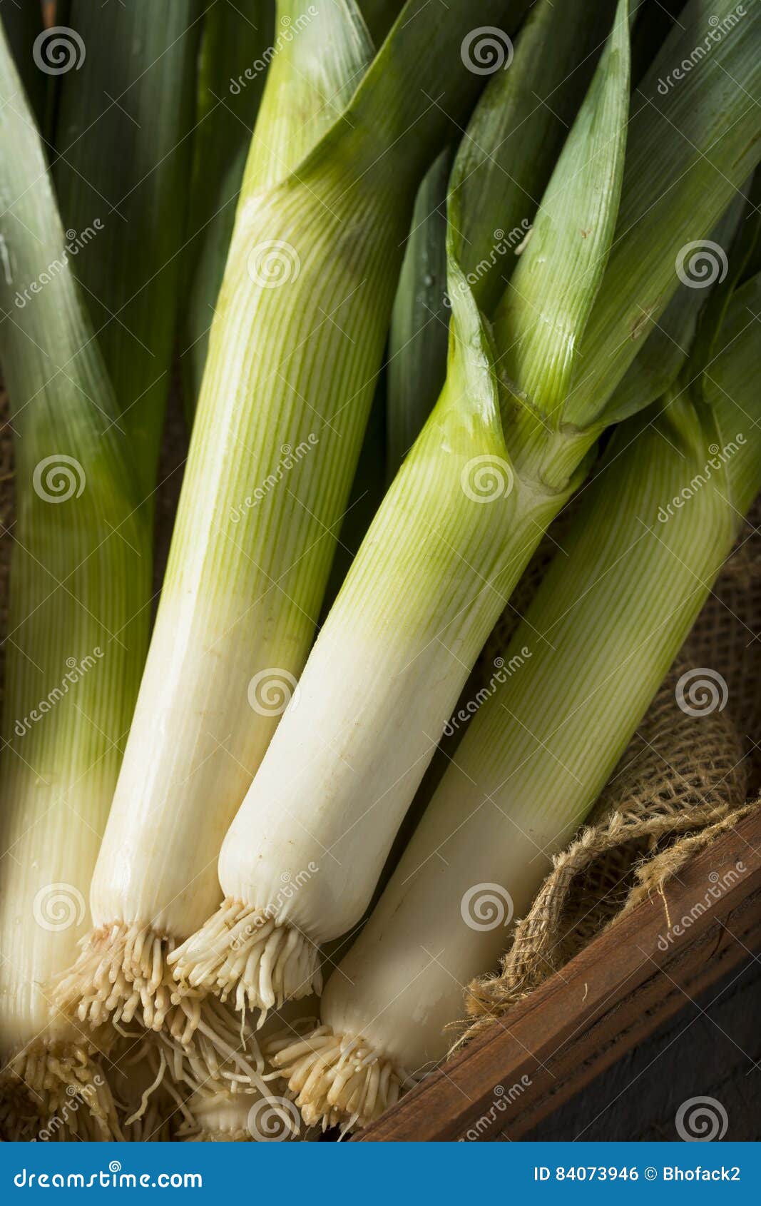 Raw Green Organic Leeks stock photo. Image of freshness - 84073946