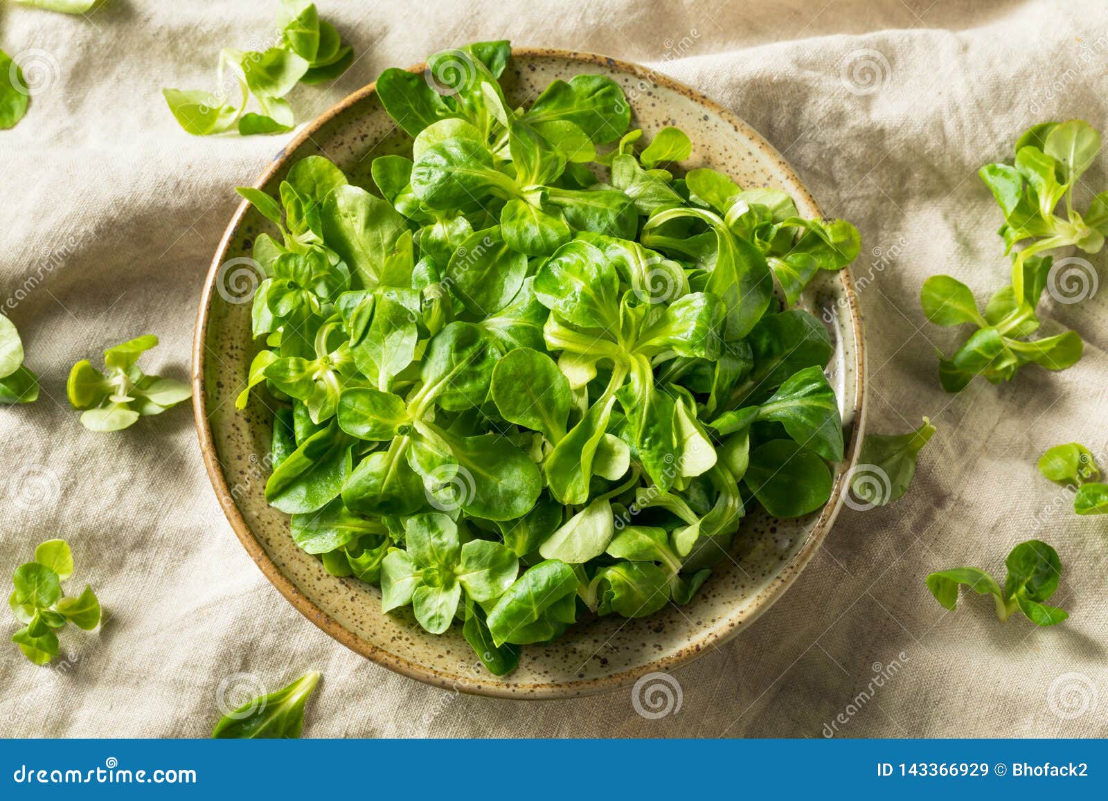 Raw Green Organic Mache Rosettes Stock Image - Image of background ...