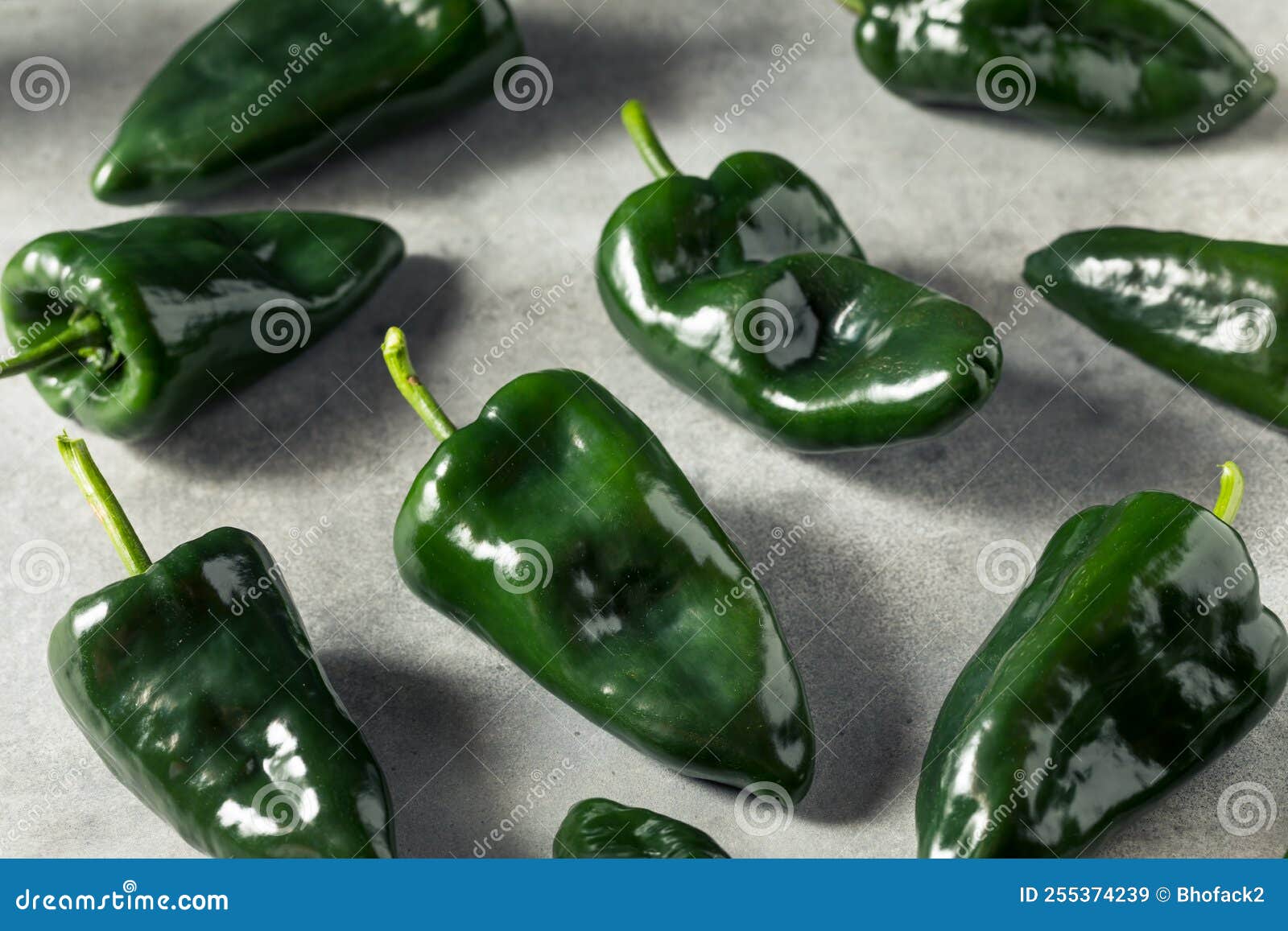 Raw Green Organic Poblano Peppers Stock Image - Image of ingredient ...