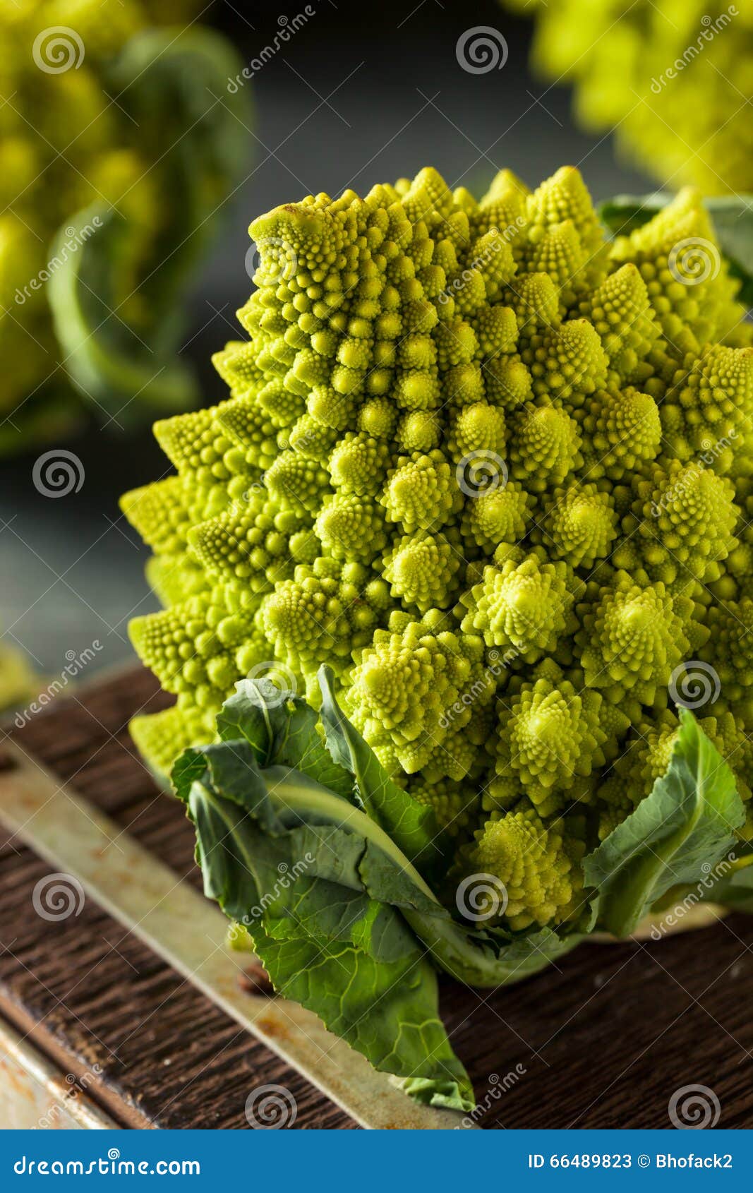 Raw Green Organic Romanesco Stock Image - Image of brussels, diet: 66489823