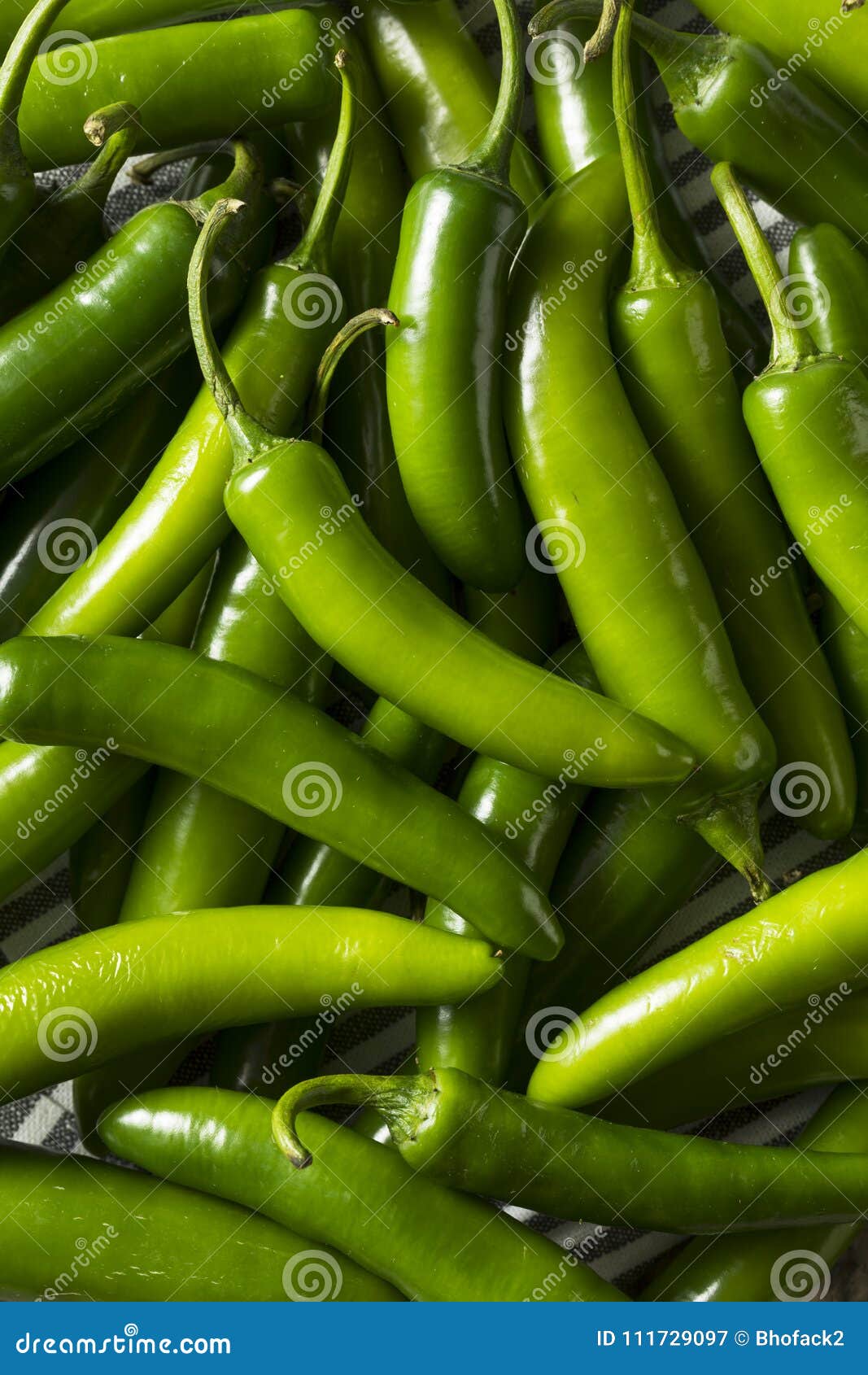 Raw Green Organic Serrano Peppers Stock Image - Image of capsaicin ...