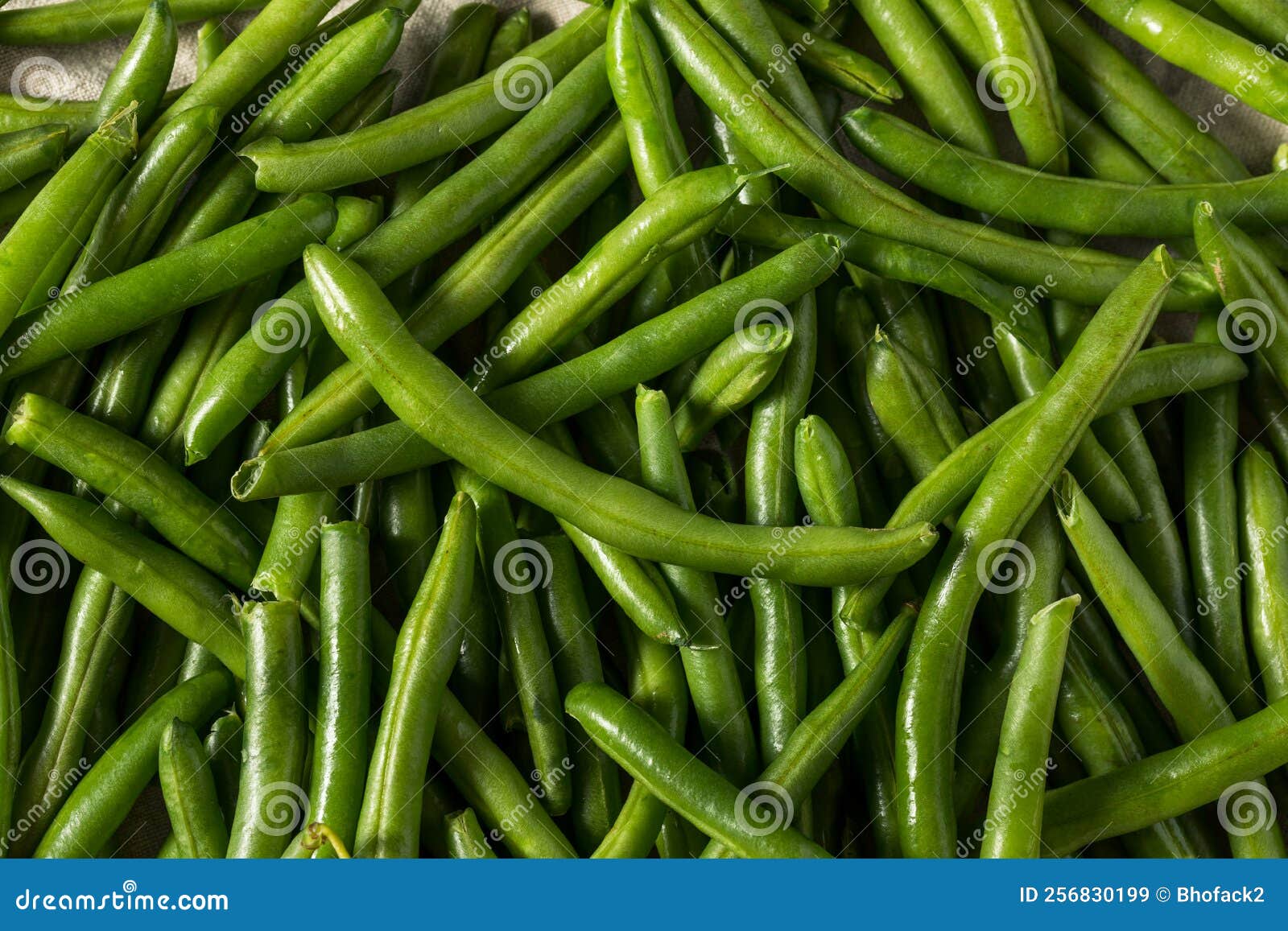 Raw Green Organic String Beans Stock Image - Image of greenbeans ...