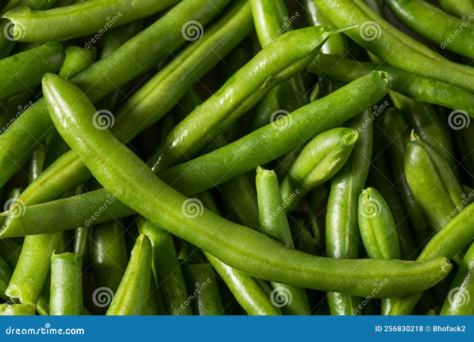 Raw Green Organic String Beans Stock Photo - Image of health, natural ...