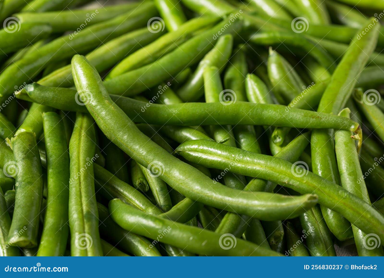 Raw Green Organic String Beans Stock Image - Image of ingredients ...