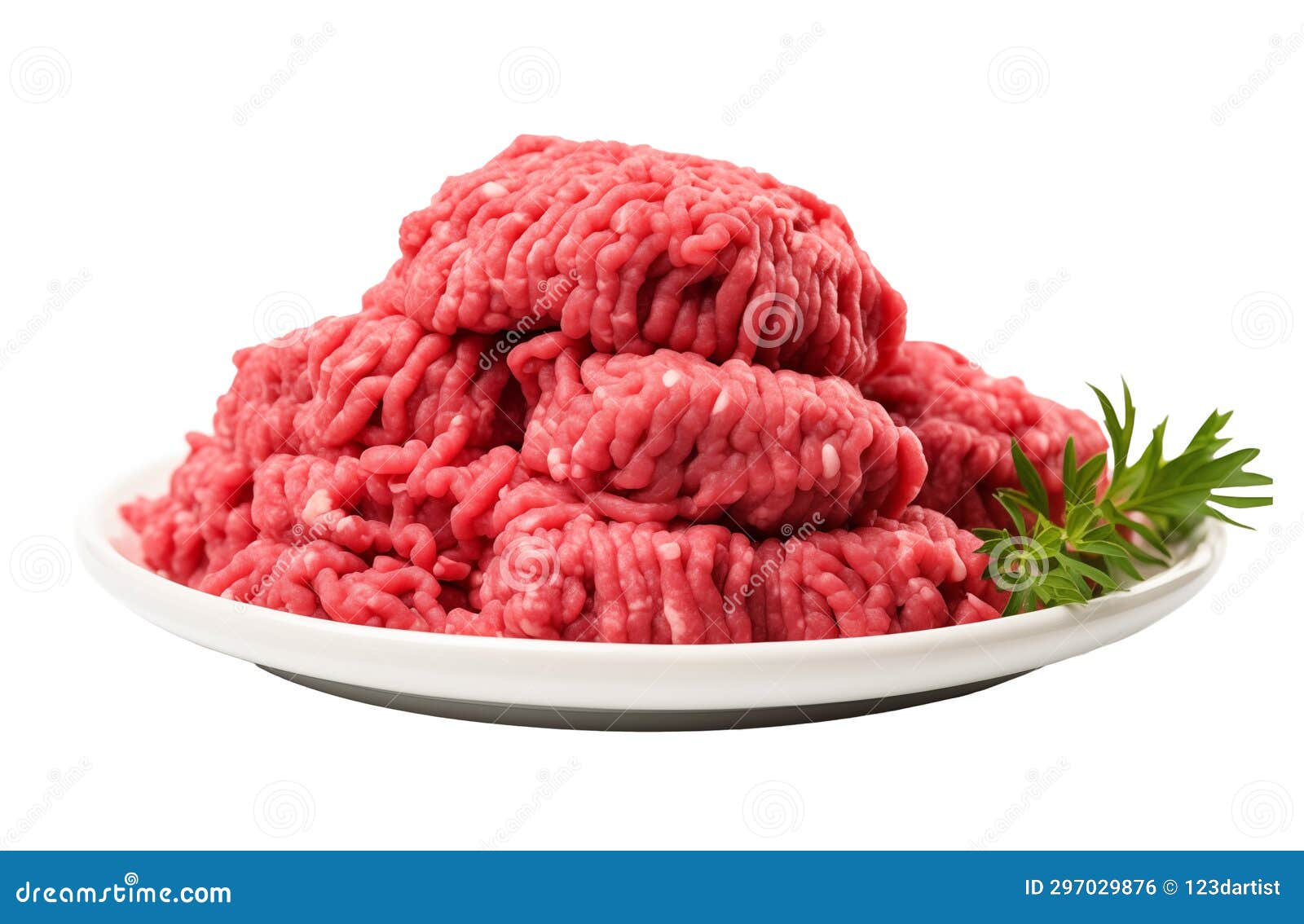 Raw ground meat stock photo. Image of hamburger, uncooked - 297029876