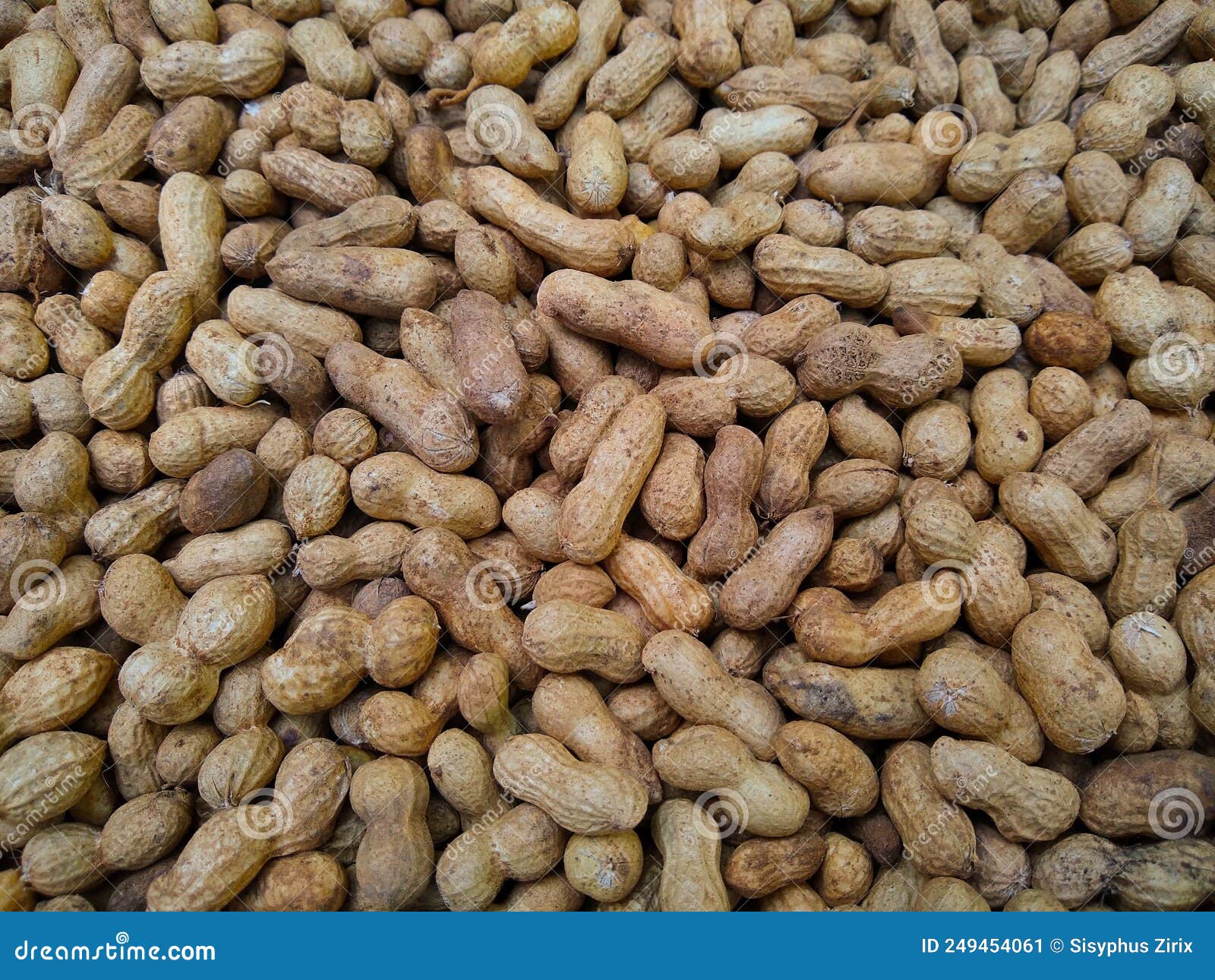Raw Groundnut Pods, Close-up View Stock Image - Image of vegetable ...
