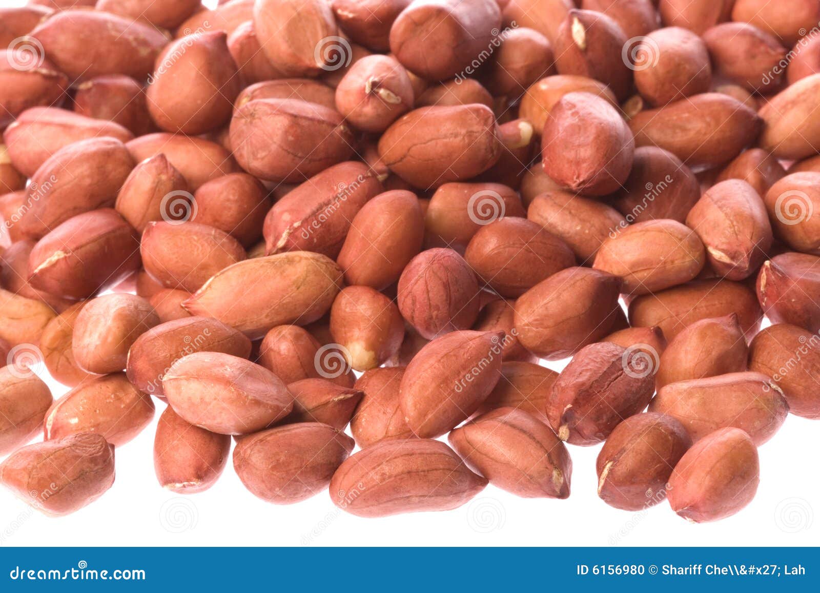 Raw Groundnuts Isolated stock photo. Image of ingredients - 6156980