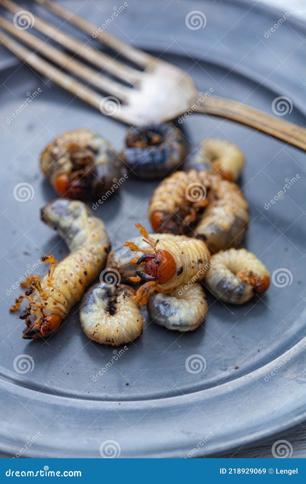 Raw grubs on a tin plate. stock image. Image of grubs - 218929069