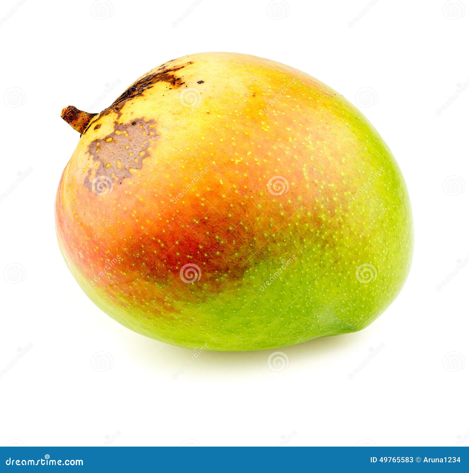 Raw half ripe mango stock image. Image of orange, farm - 49765583