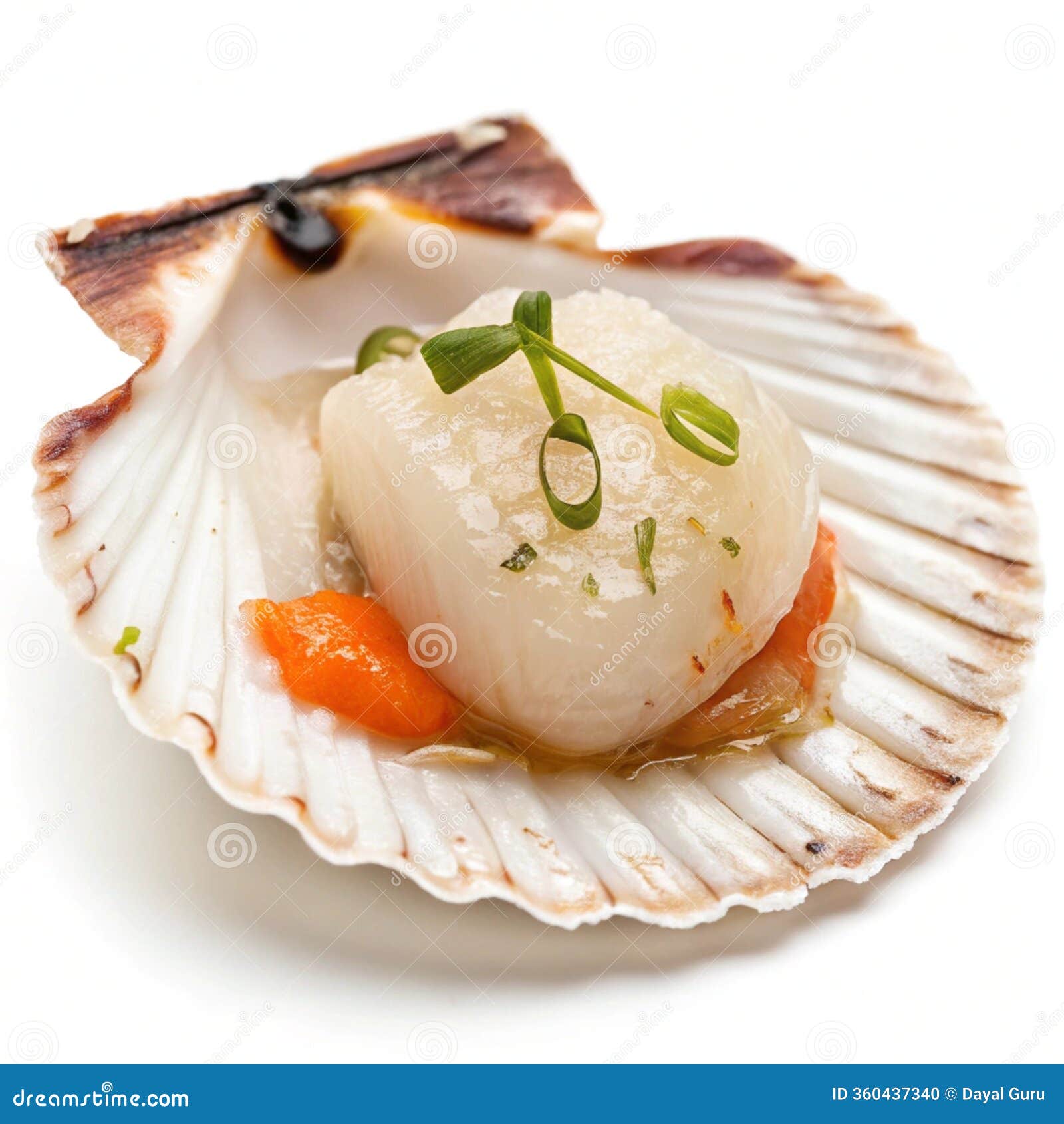 Raw Half Shell Scallop Isolated on Transparent Background Stock ...