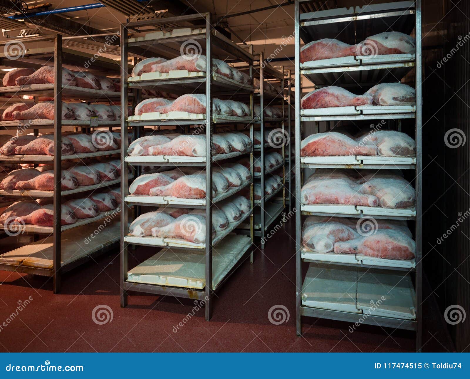 Raw Ham during the Salting Process Inside a Refrigeration Cell. Stock ...