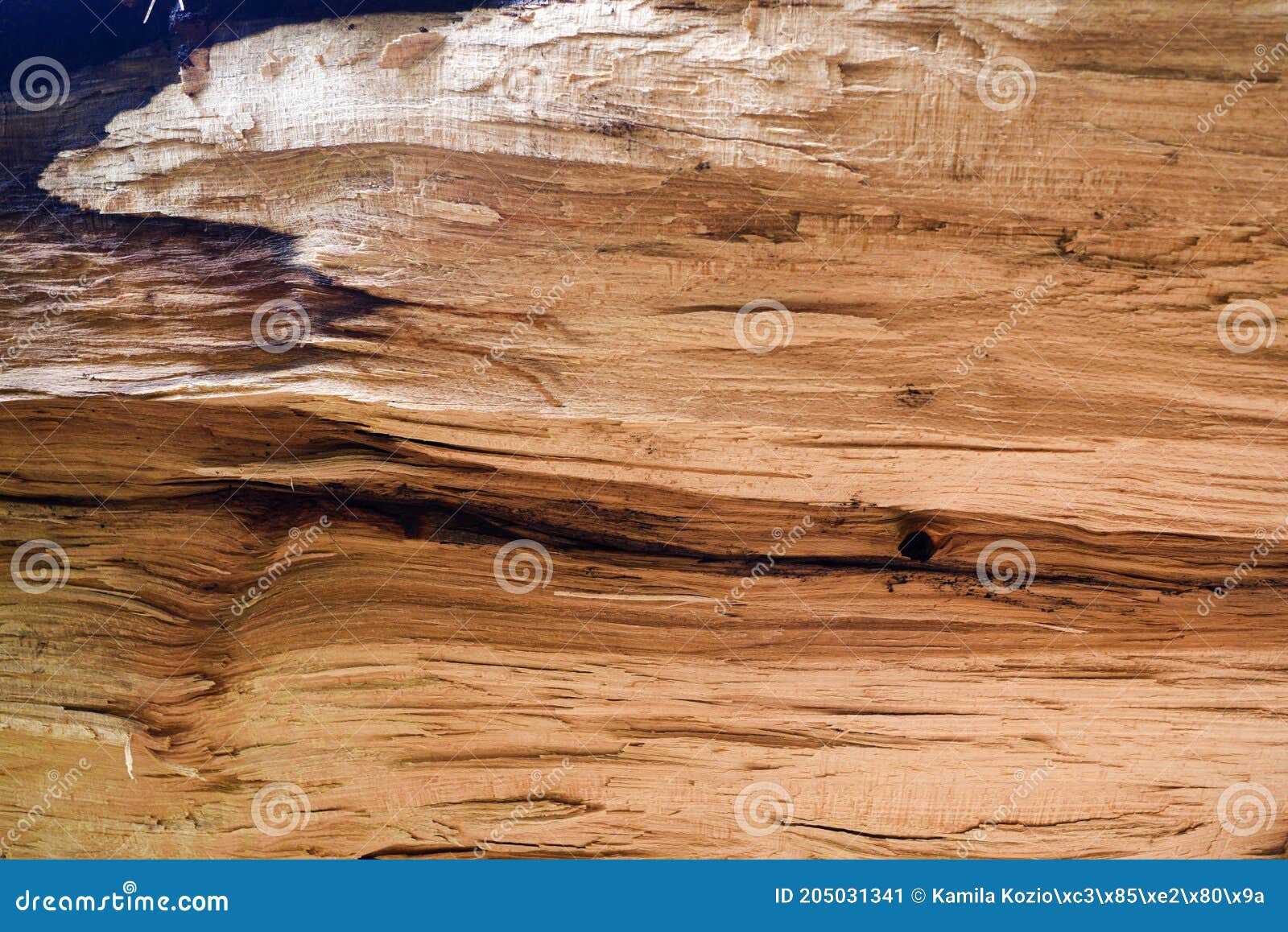Raw Hardwood Texture. Raw Hardwood Texture Stock Image - Image of ...