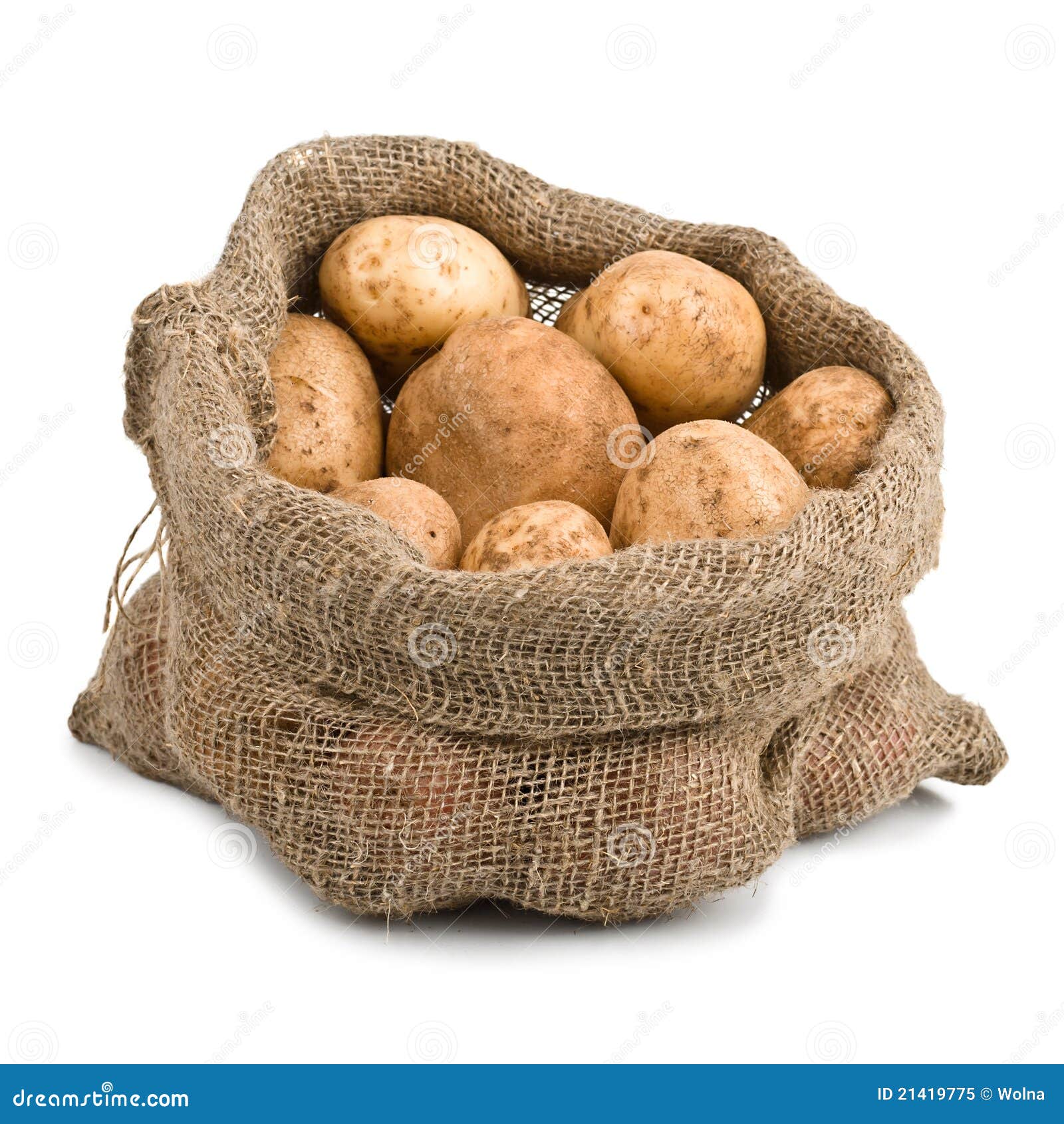 Raw Harvest Potatoes in Burlap Sack Stock Image - Image of white, food ...
