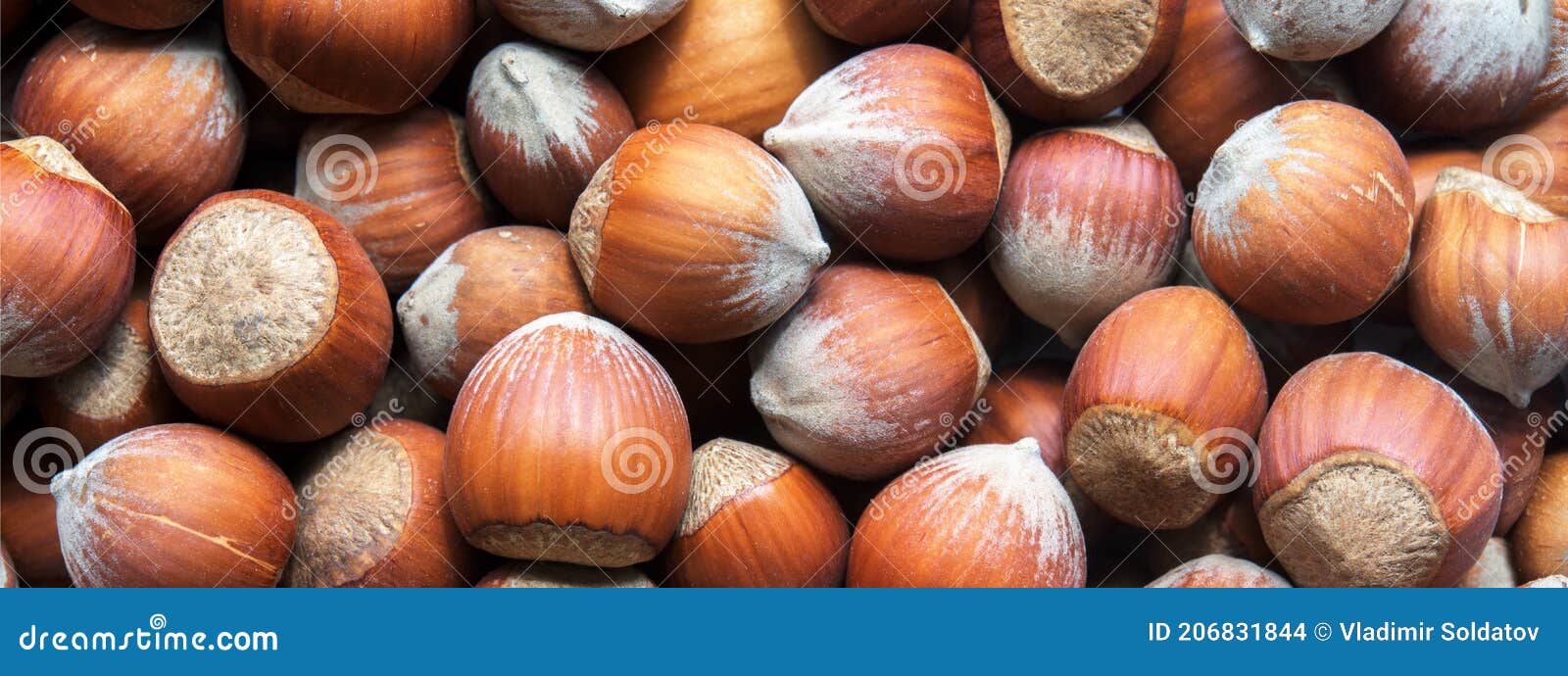 Raw Hazelnut. Food Hazelnut Texture Stock Photo - Image of wallpaper ...