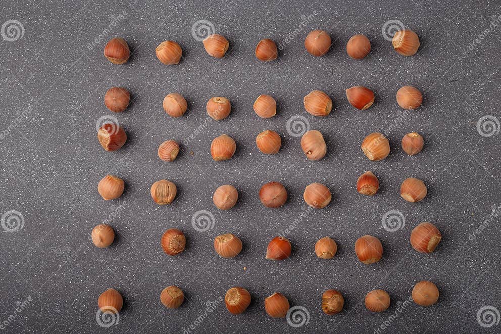 Raw Hazelnuts in Shells Lay Out in Square Shape on Grey Background ...