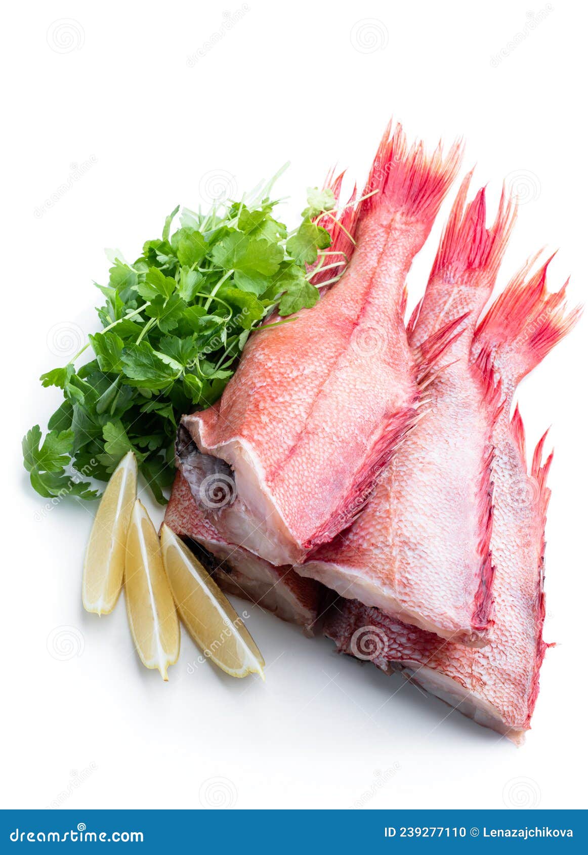 Raw Headless Gutted Redfish with Herbs and Lemon Isolated on White ...
