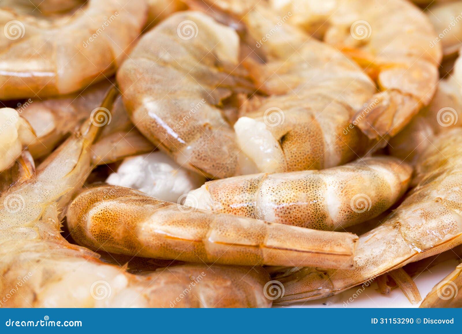 Closeup Of Headless Lions On The Lion Gate That Was The Main Entrance ...