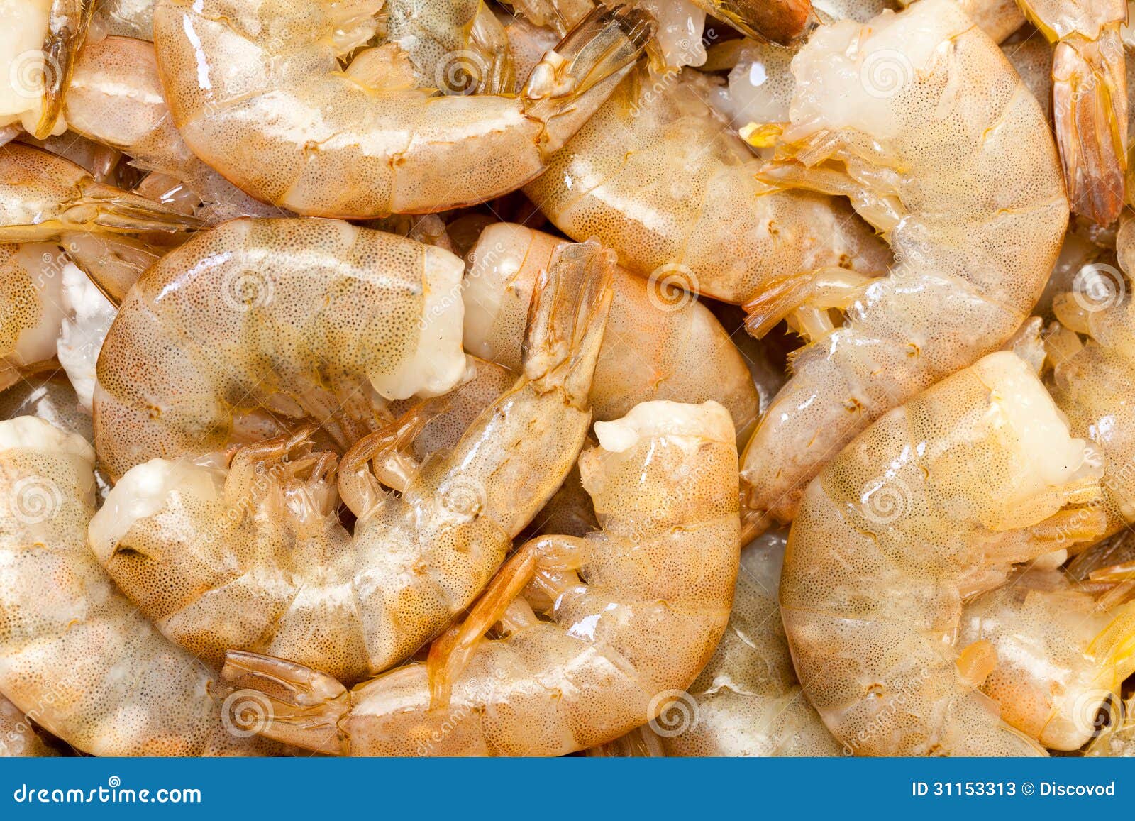 Closeup Of Headless Lions On The Lion Gate That Was The Main Entrance ...